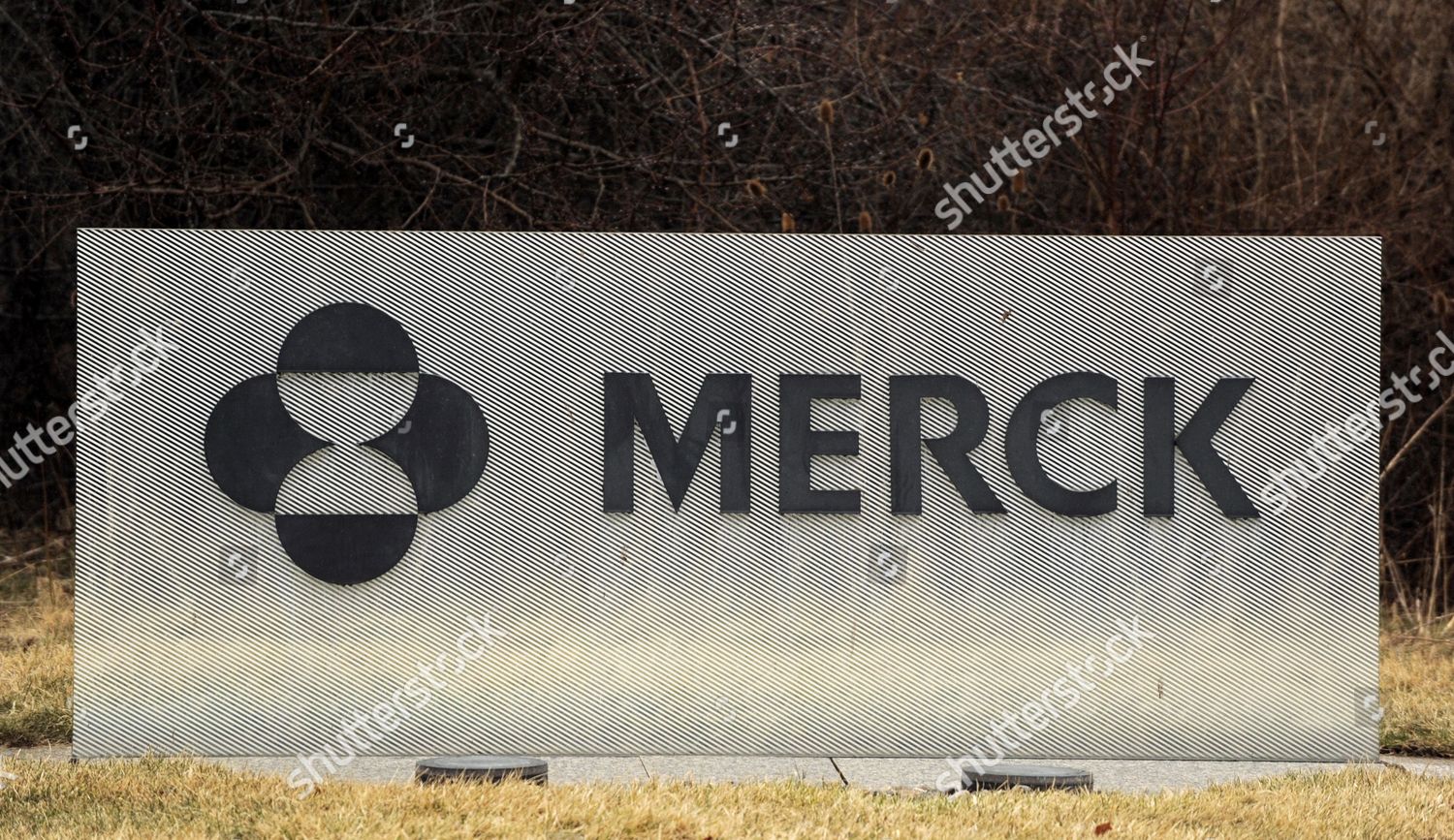 View Sign Merck Co Companys Headquarters Editorial Stock Photo - Stock ...