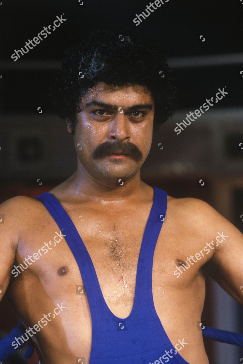 Bloomfield Tv 1983 Marc Zuber Bloomfield Editorial Stock Photo - Stock ...