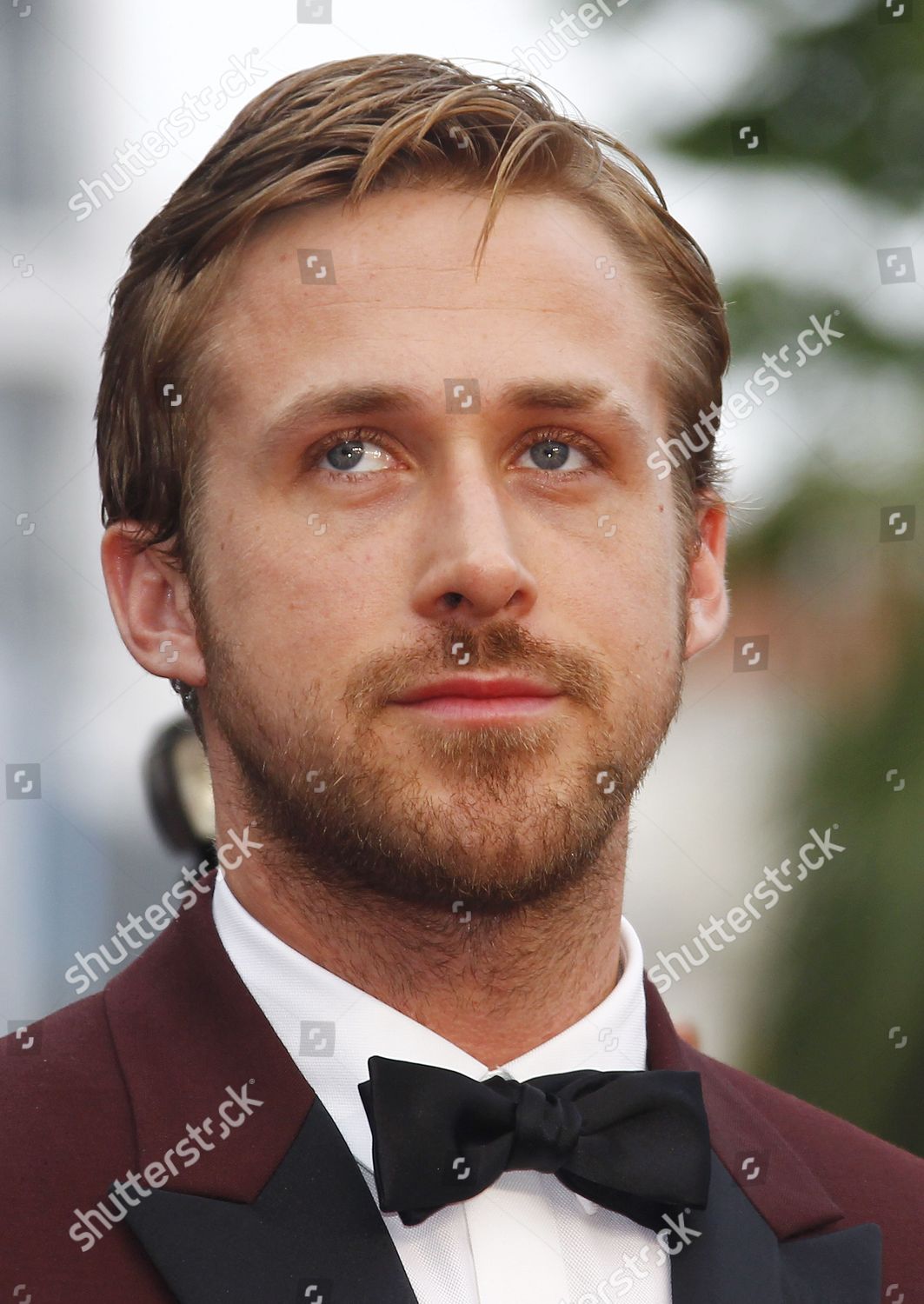 Canadian Actor Ryan Gosling Arrives Screening Editorial Stock Photo ...