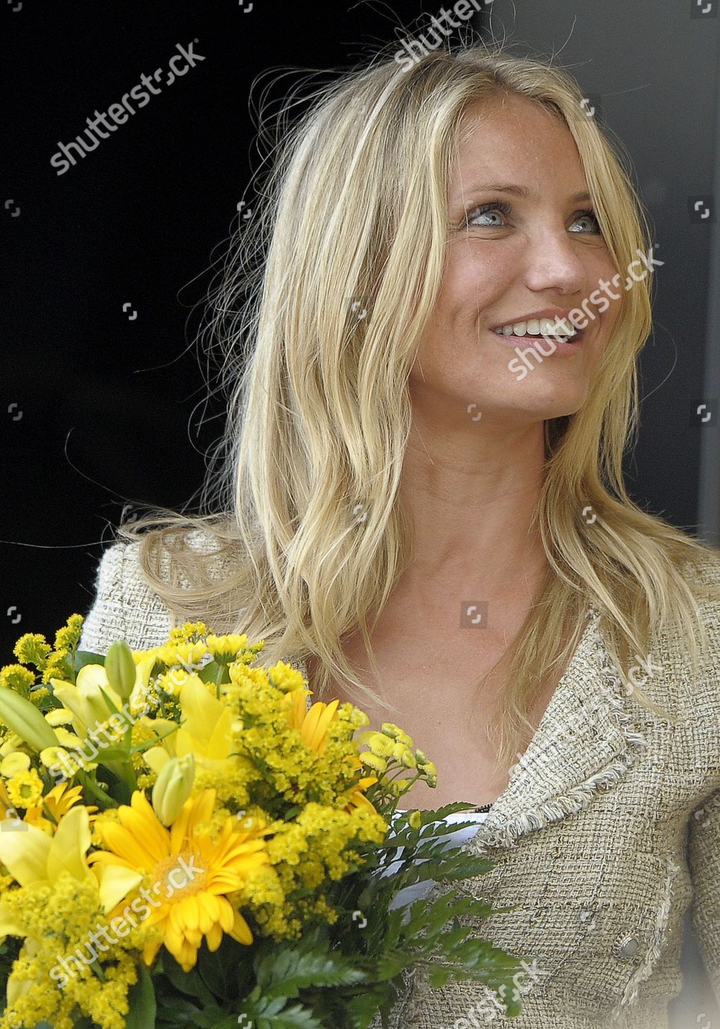 Us Actress Cameron Diaz Smiles On Editorial Stock Photo - Stock Image ...