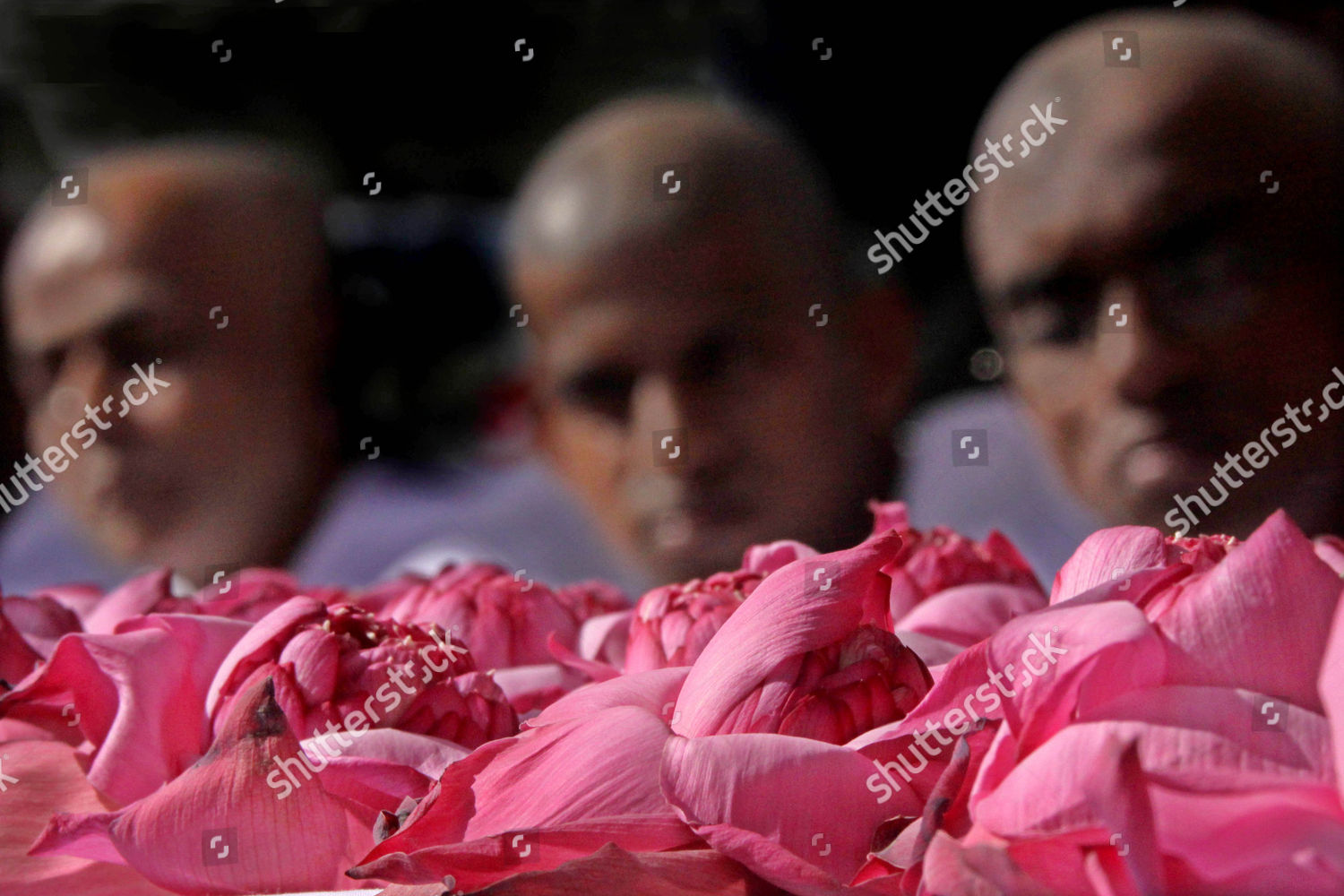 Members Sri Lankas Jathika Hela Urumaya Editorial Stock Photo - Stock ...