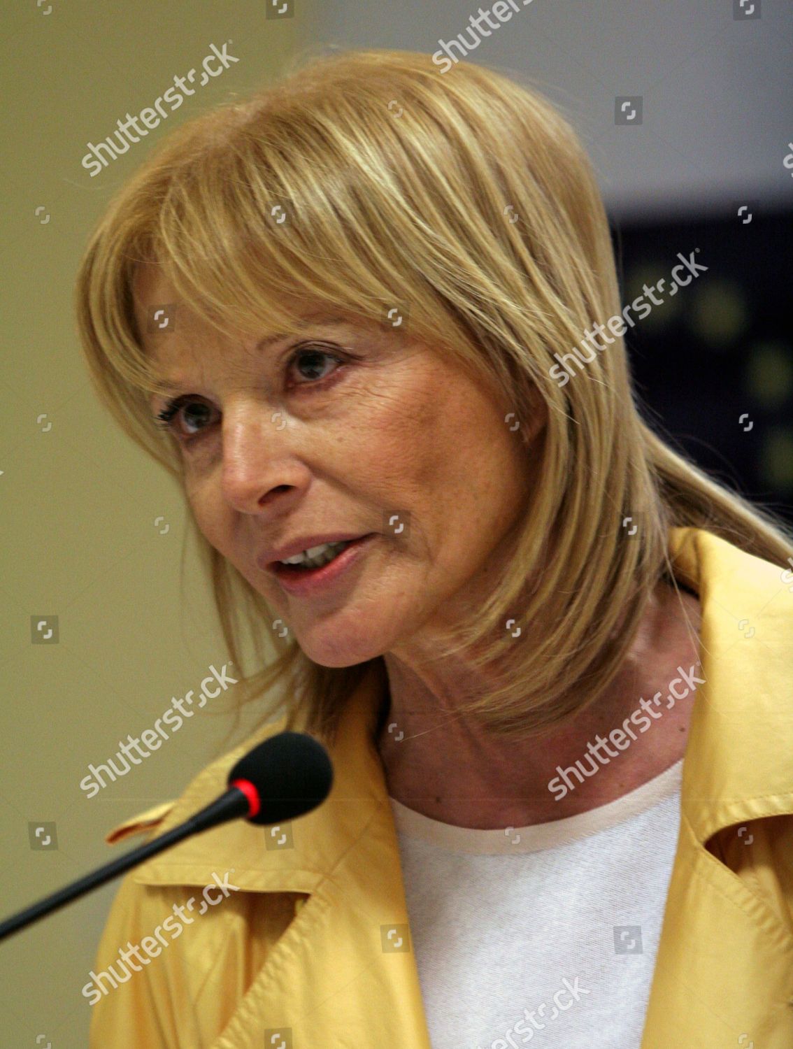 Veronique De Keyser Chief Observer European Editorial Stock Photo ...