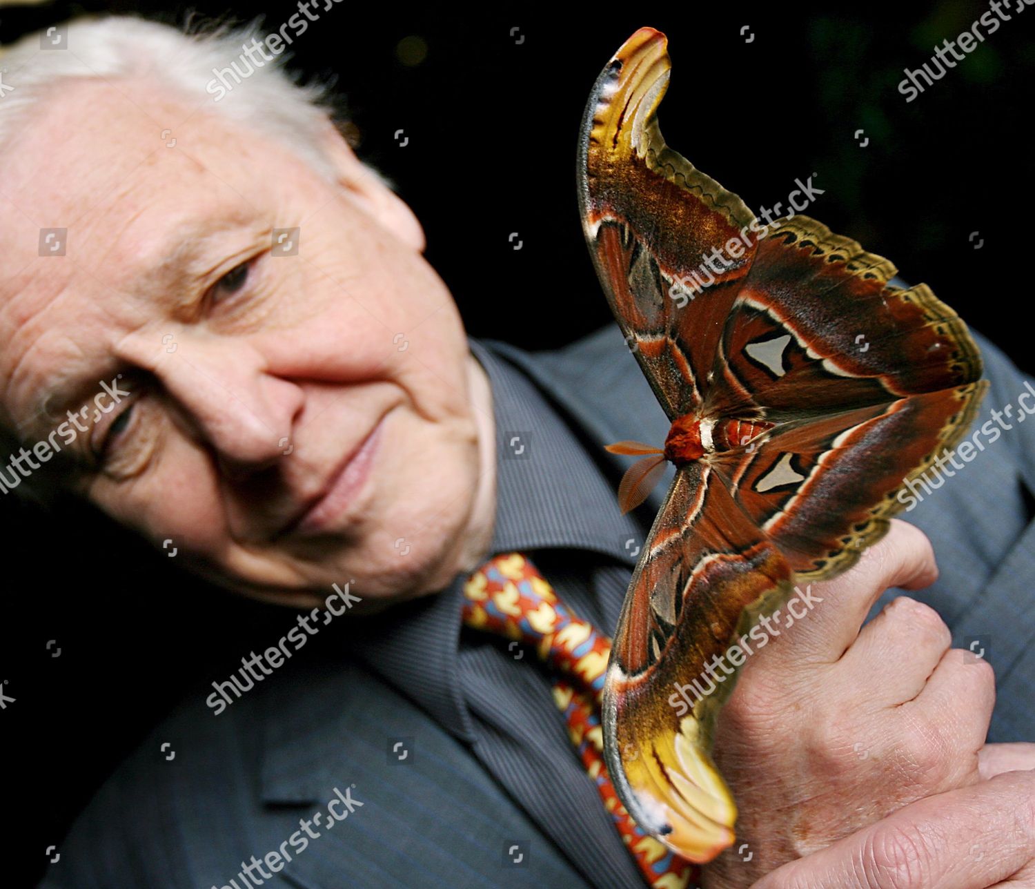 Sir David Attenborough Worlds Most Famous Editorial Stock Photo - Stock ...