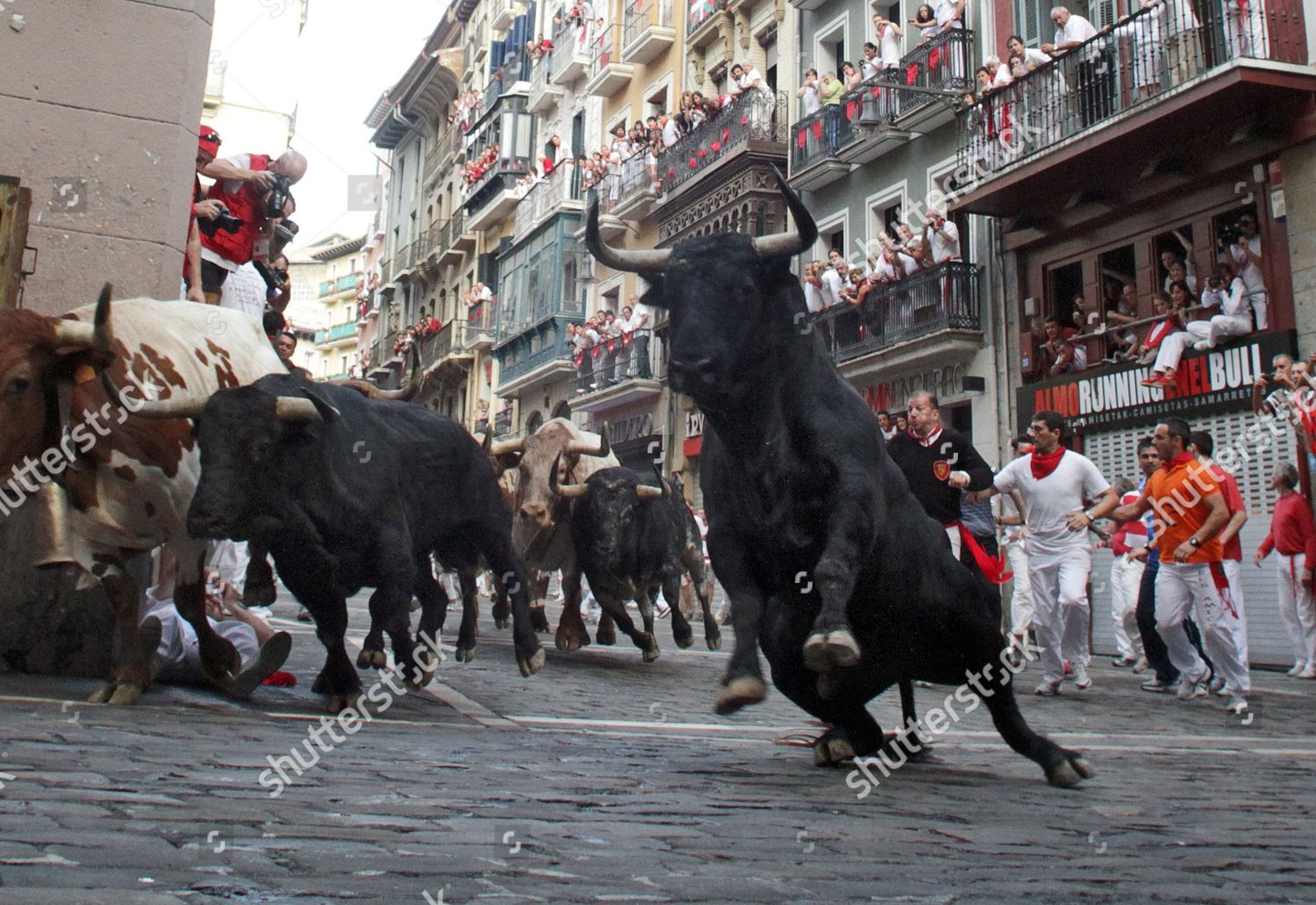 Fighting Bull Jandilla Ranch Slips Herd Editorial Stock Photo - Stock ...