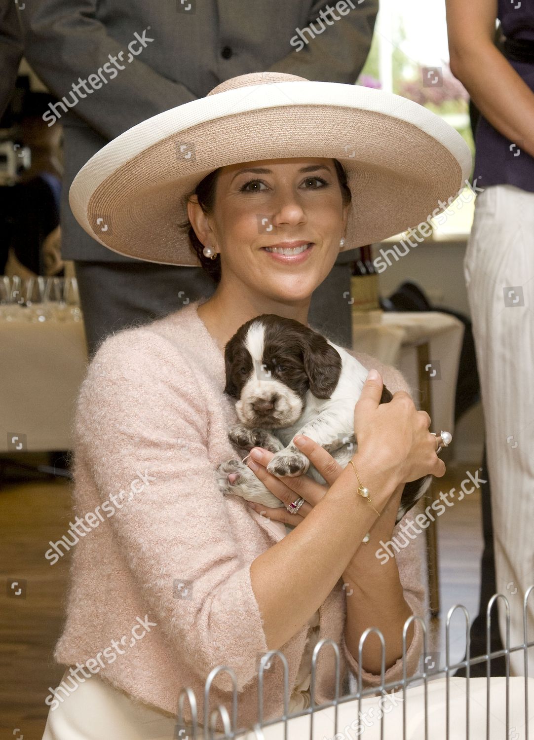 Crown Princess Mary Springer Spaniel Puppy Editorial Stock Photo ...