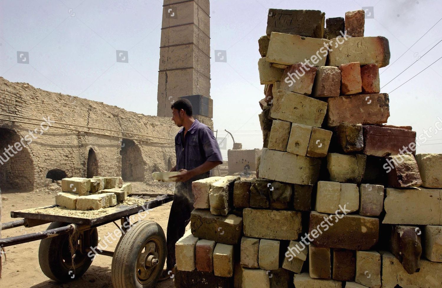 Iraqi Man Loads Bricks On Donkey Editorial Stock Photo - Stock Image ...