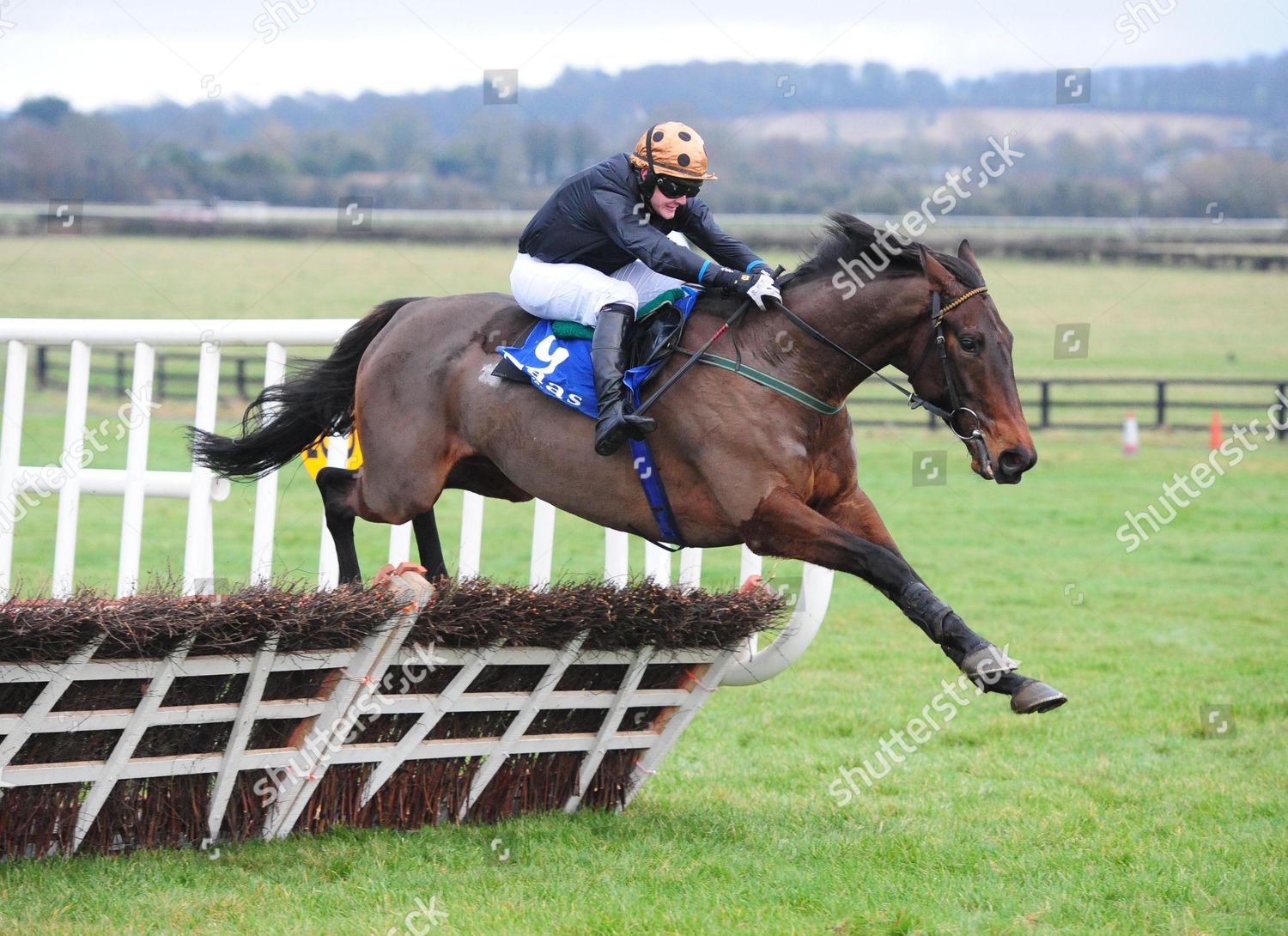 Naas Yaha Fizz Ryan Treacy Jump Editorial Stock Photo - Stock Image ...