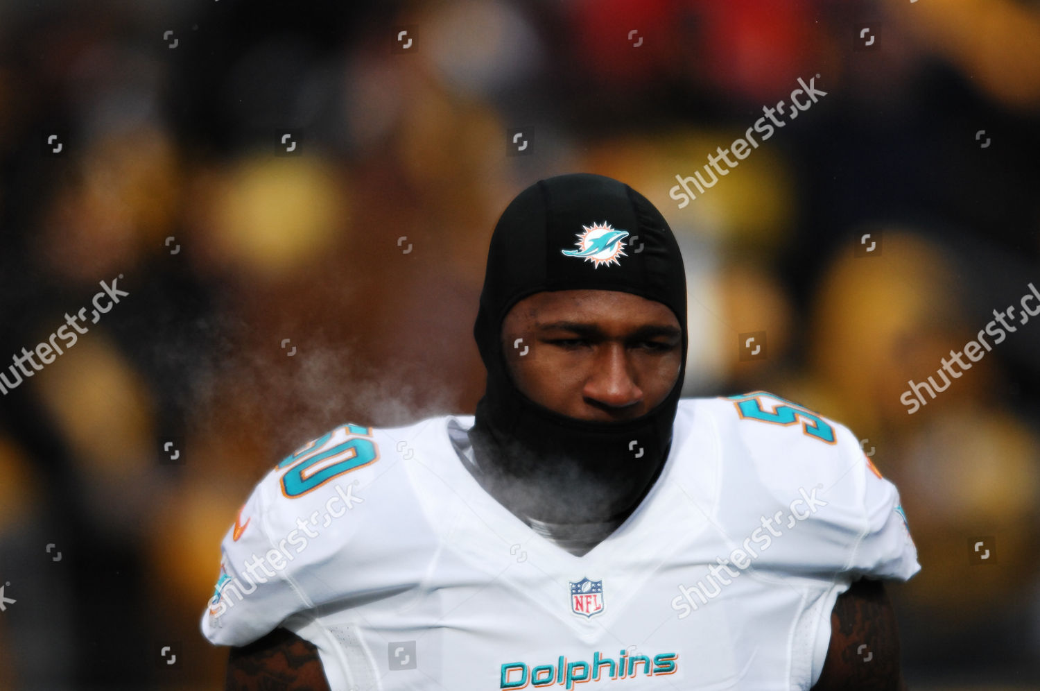 Th Andre Branch 50 During Dolphins Editorial Stock Photo - Stock Image ...