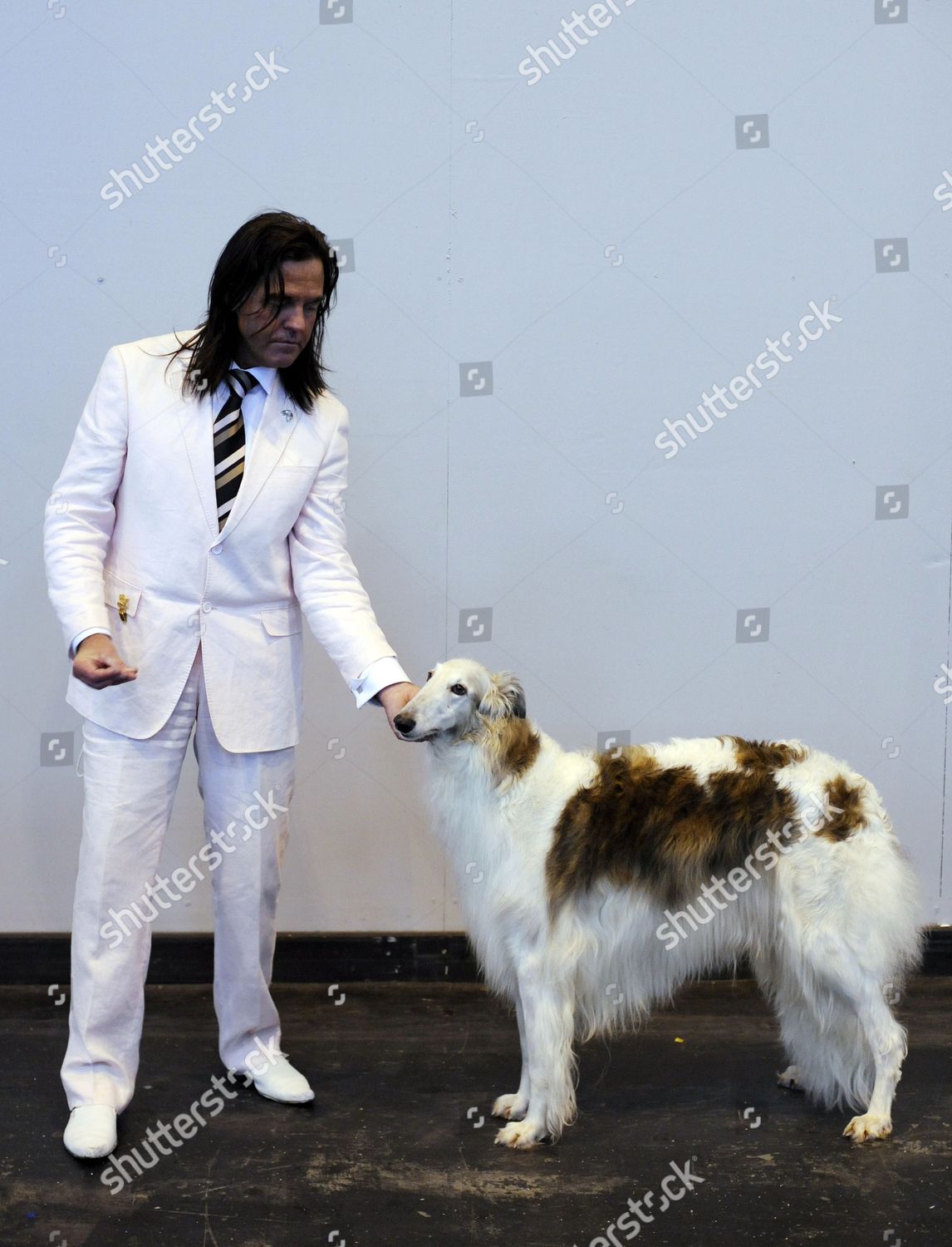 Daniel Foran Poses Lynk Borzoi Dog Editorial Stock Photo - Stock Image ...