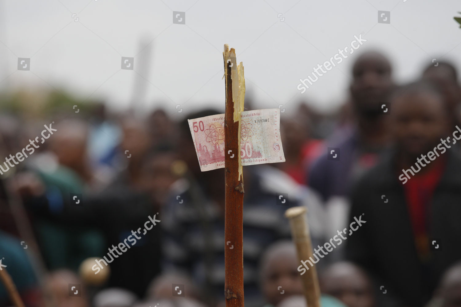 Fifty Rand Note Cleft Stick Some Editorial Stock Photo - Stock Image ...