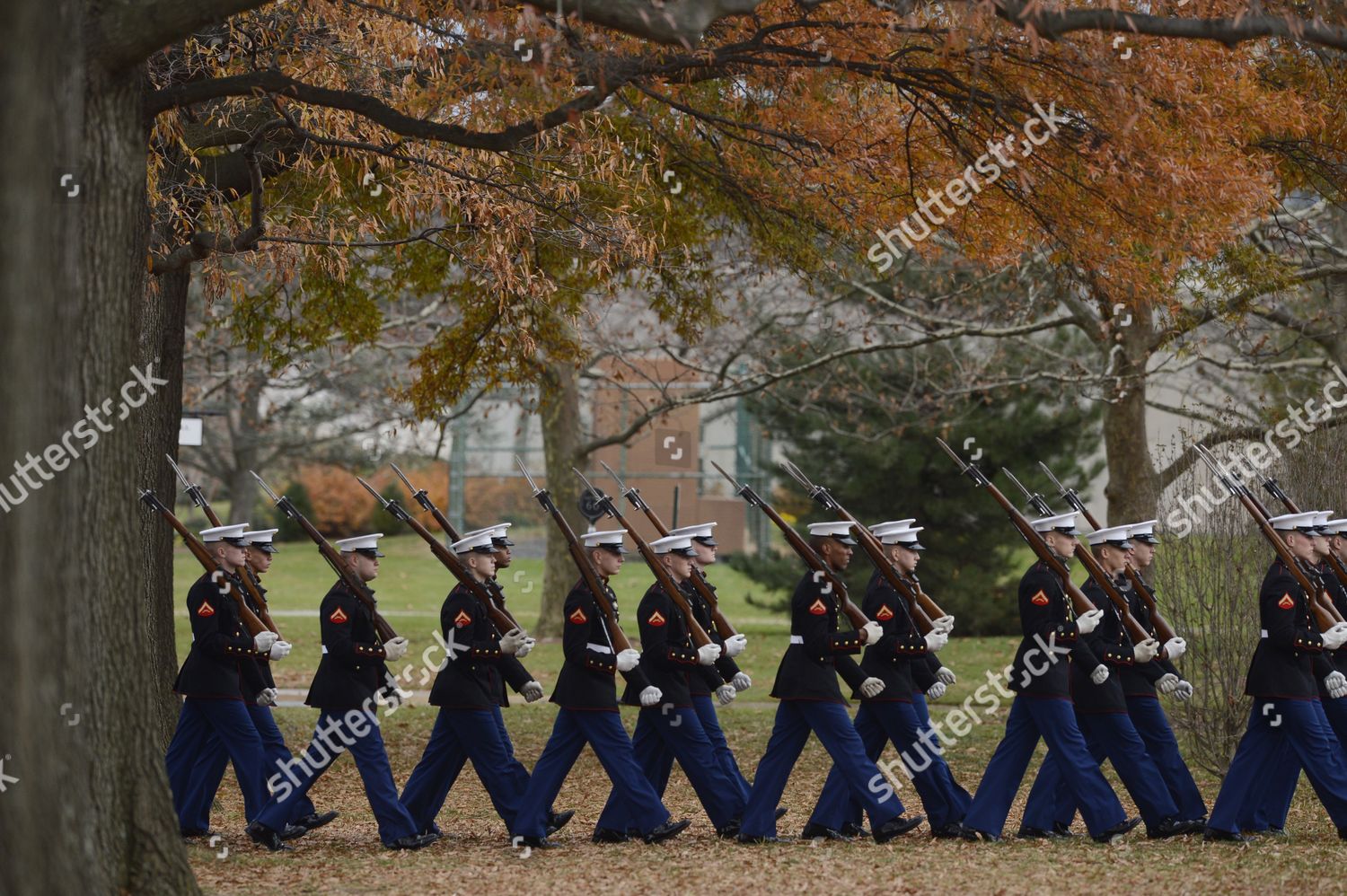 Us Marine Marching Platoon Marches During Editorial Stock Photo - Stock ...