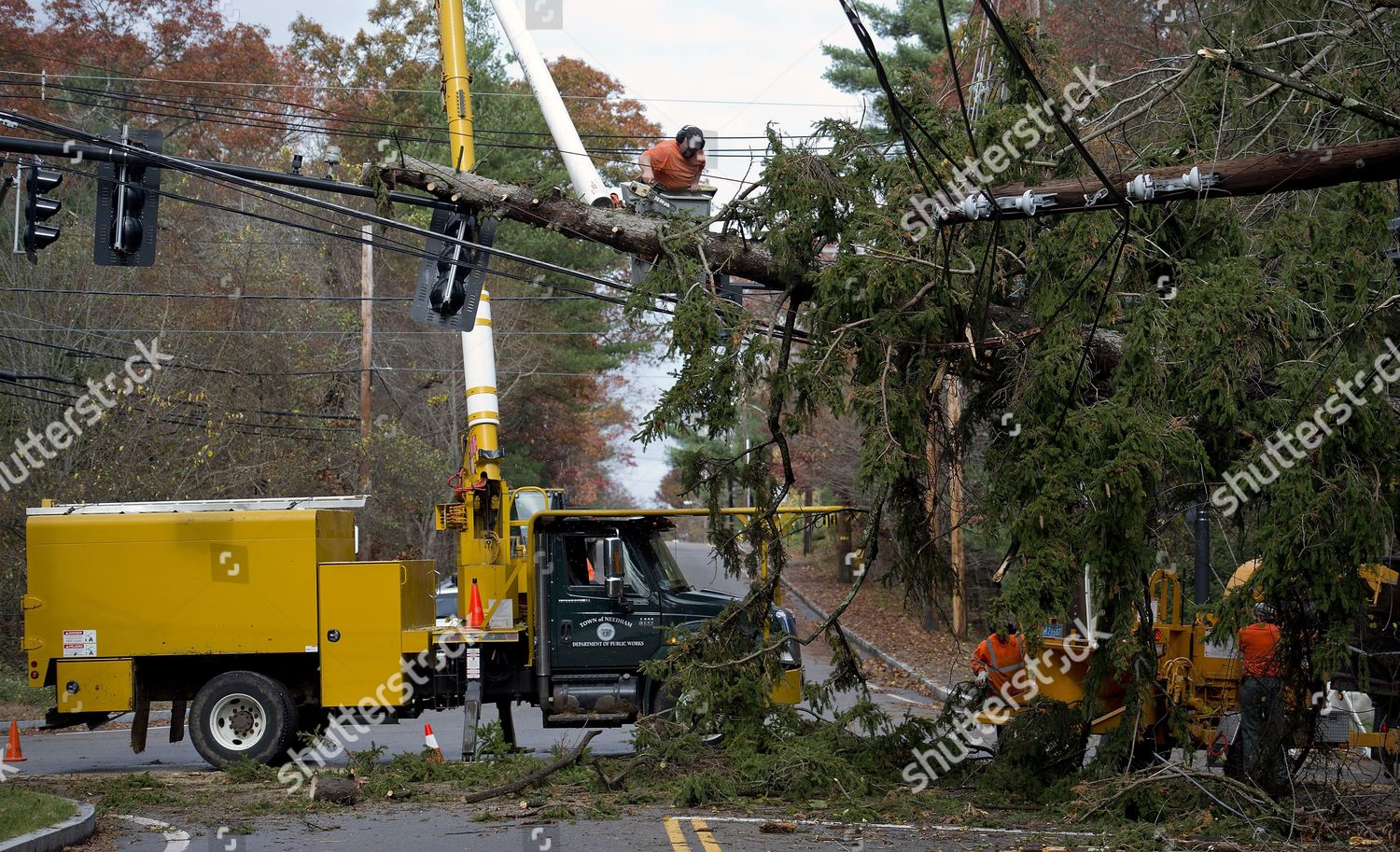 Needham Public Works Crews Remove Large Editorial Stock Photo - Stock ...