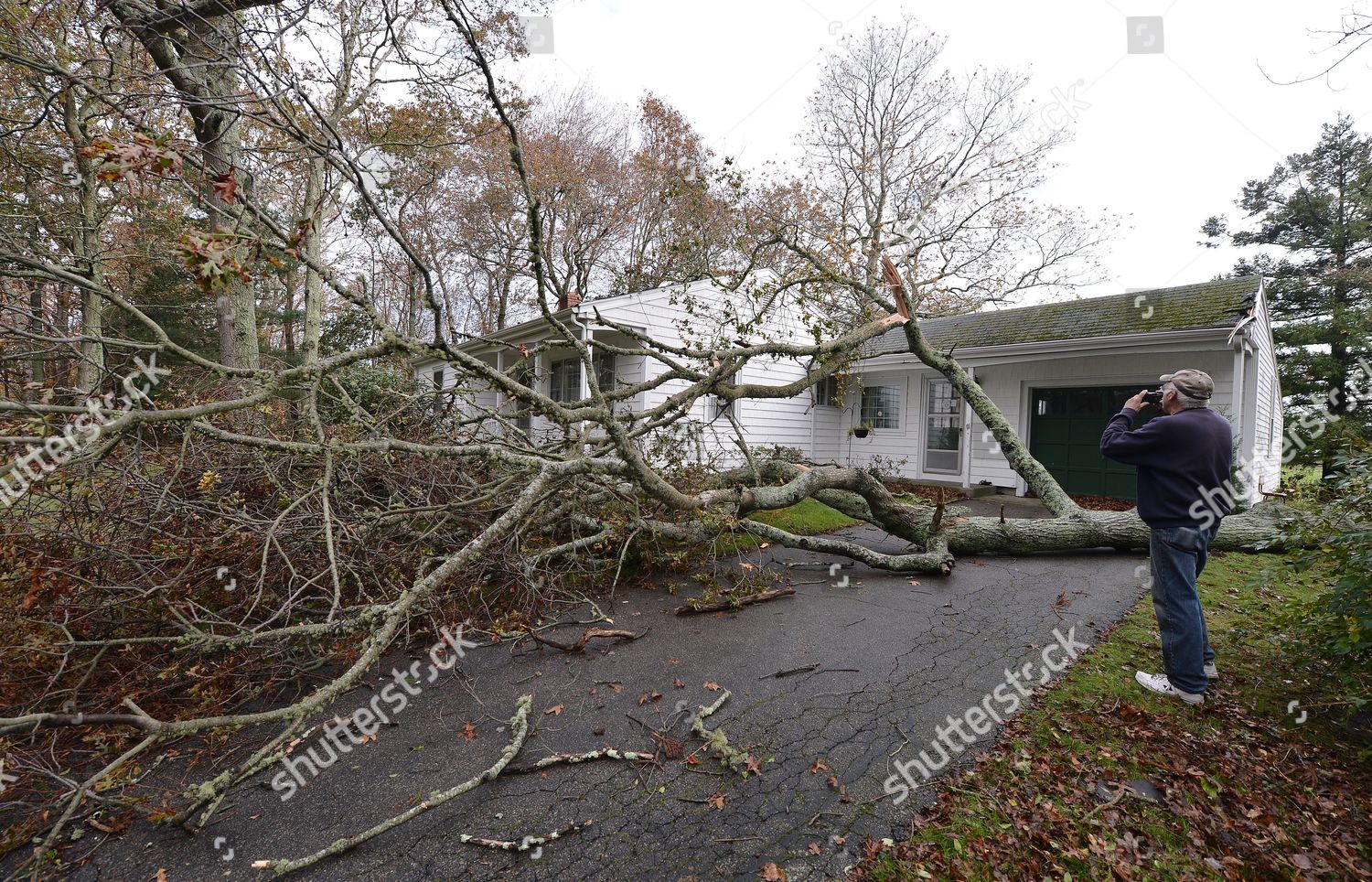 Ron Hammond R Photographs Tree Which Editorial Stock Photo - Stock ...