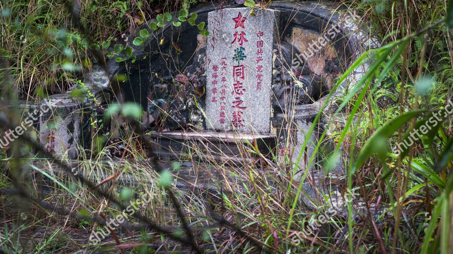 Memorial Tablet Installed Grave Lin Hua Editorial Stock Photo - Stock ...