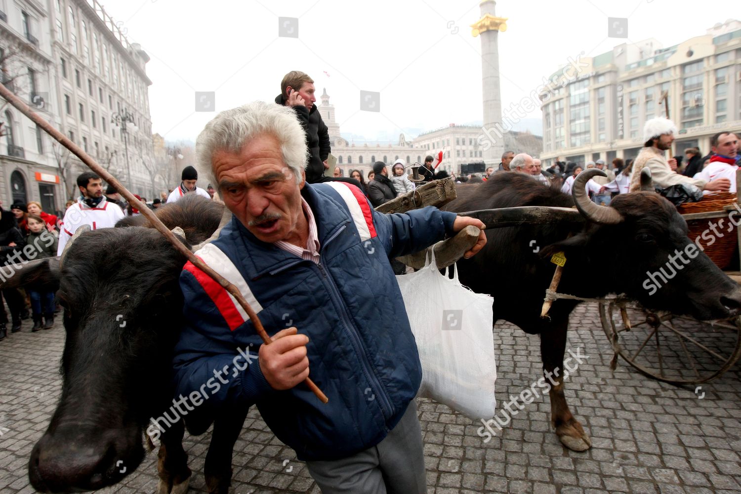 Buffalo Partake During Alilo Charity Procession Editorial Stock Photo ...