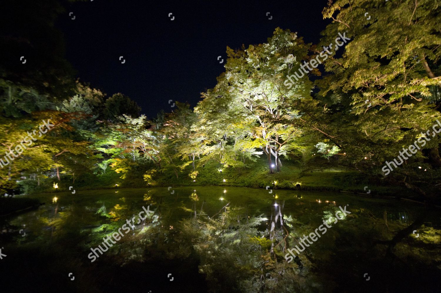 Night View Kodaiji Temple Gardens Kyoto Editorial Stock Photo - Stock Image | Shutterstock