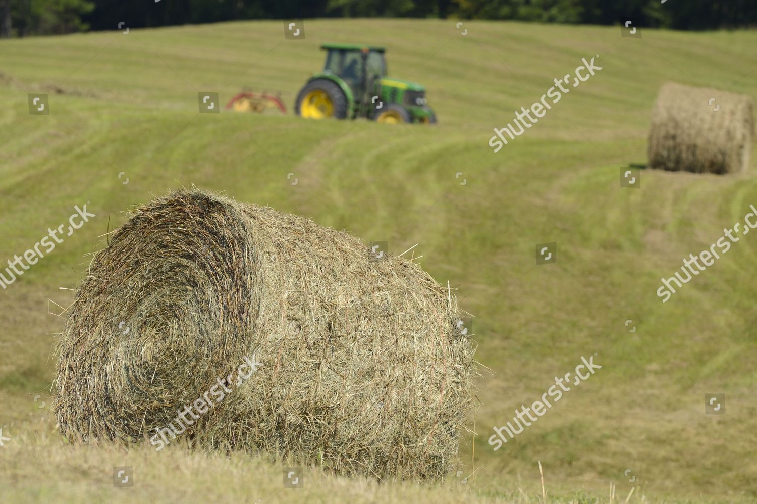 Workers Green Glades Farm Cut Hay Editorial Stock Photo - Stock Image ...