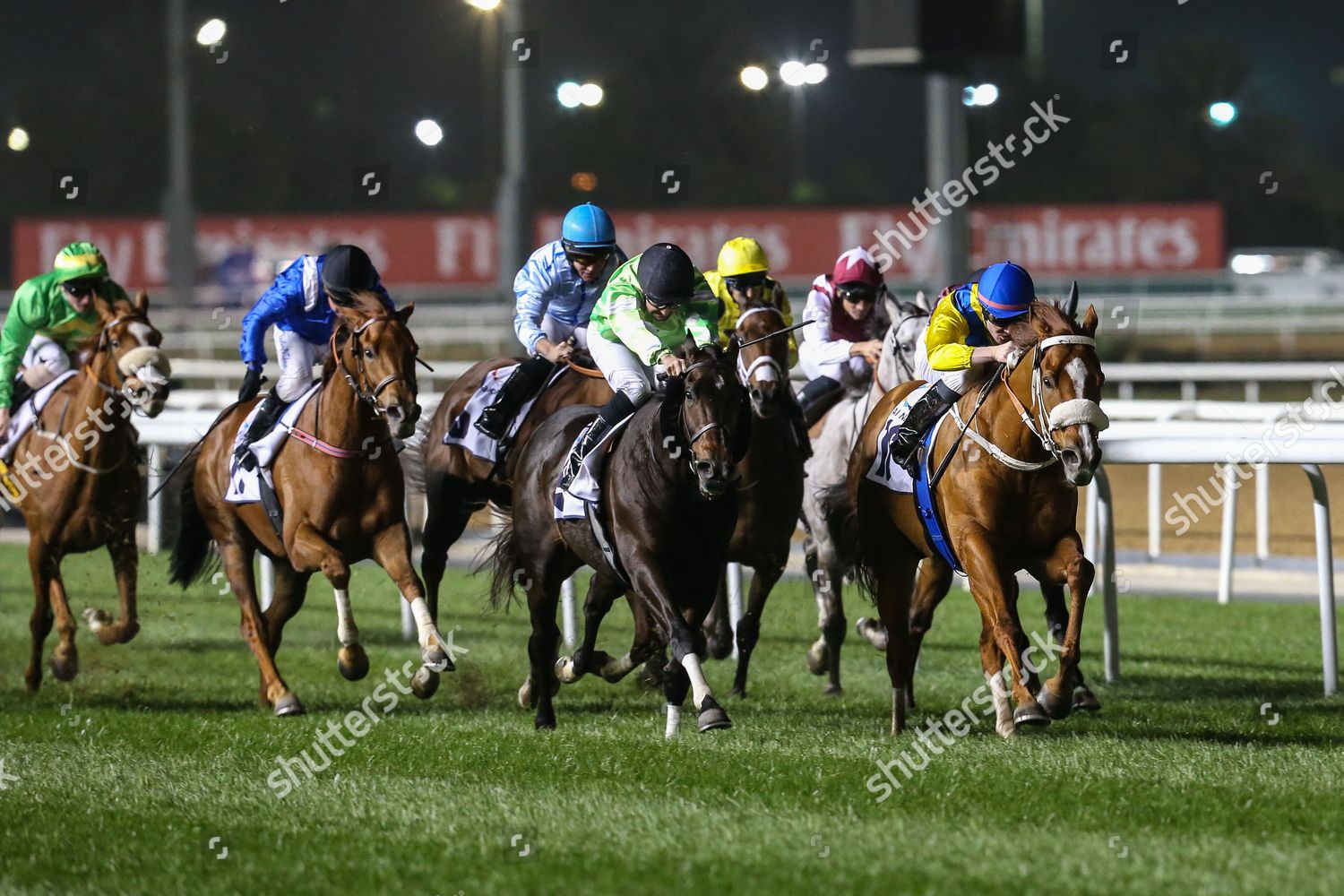 Baroot Blue Cap Pat Cosgrave Trained Editorial Stock Photo - Stock ...