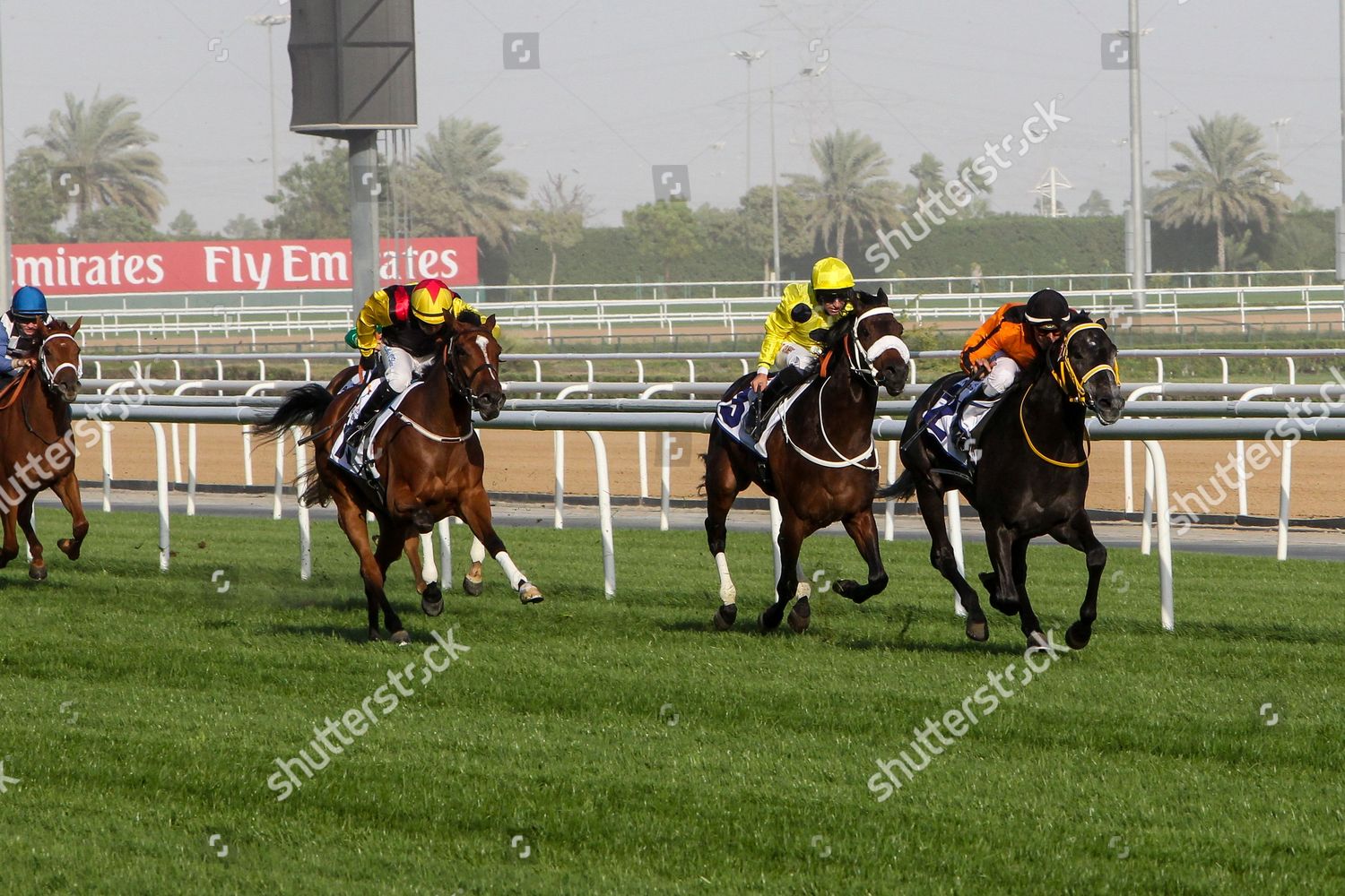 Kahrab Bruno Reis Trained By Rashed Editorial Stock Photo - Stock Image ...