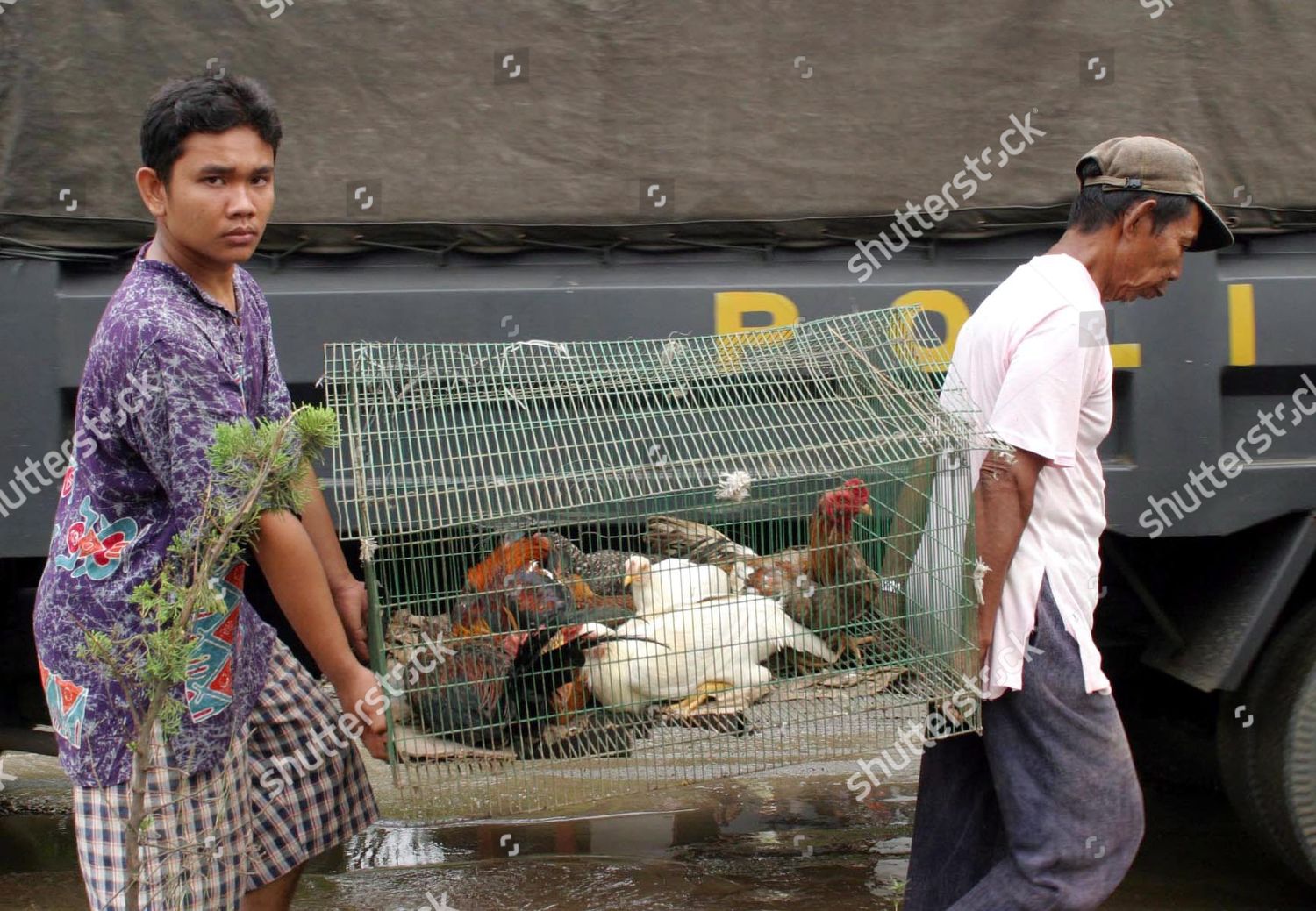 Two Man Carry Their Chickens They Editorial Stock Photo - Stock Image ...