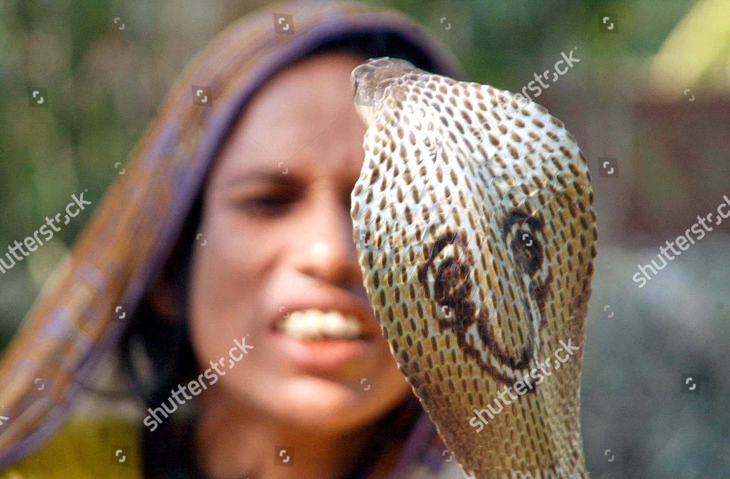 Bangladeshi Snake Charmer Shows Snake Dance Editorial Stock Photo ...