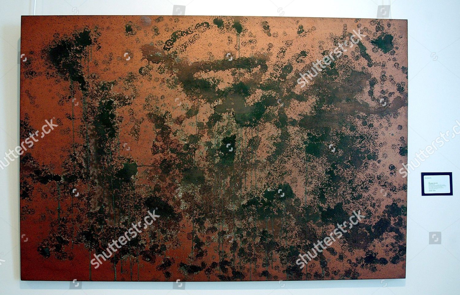 Andy Warhol 19281987 Oxidation Painting Copper Editorial Stock Photo ...