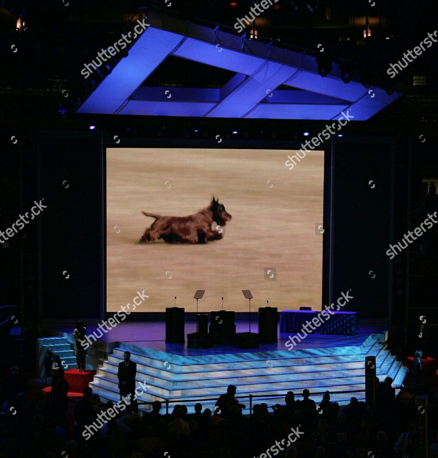 Us President George W Bushs Dog Editorial Stock Photo - Stock Image ...
