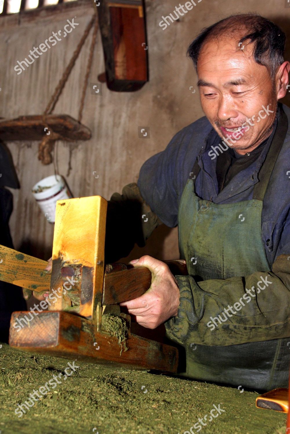 Worker Squeezes Water Out Tobacco Leaves Editorial Stock Photo - Stock ...