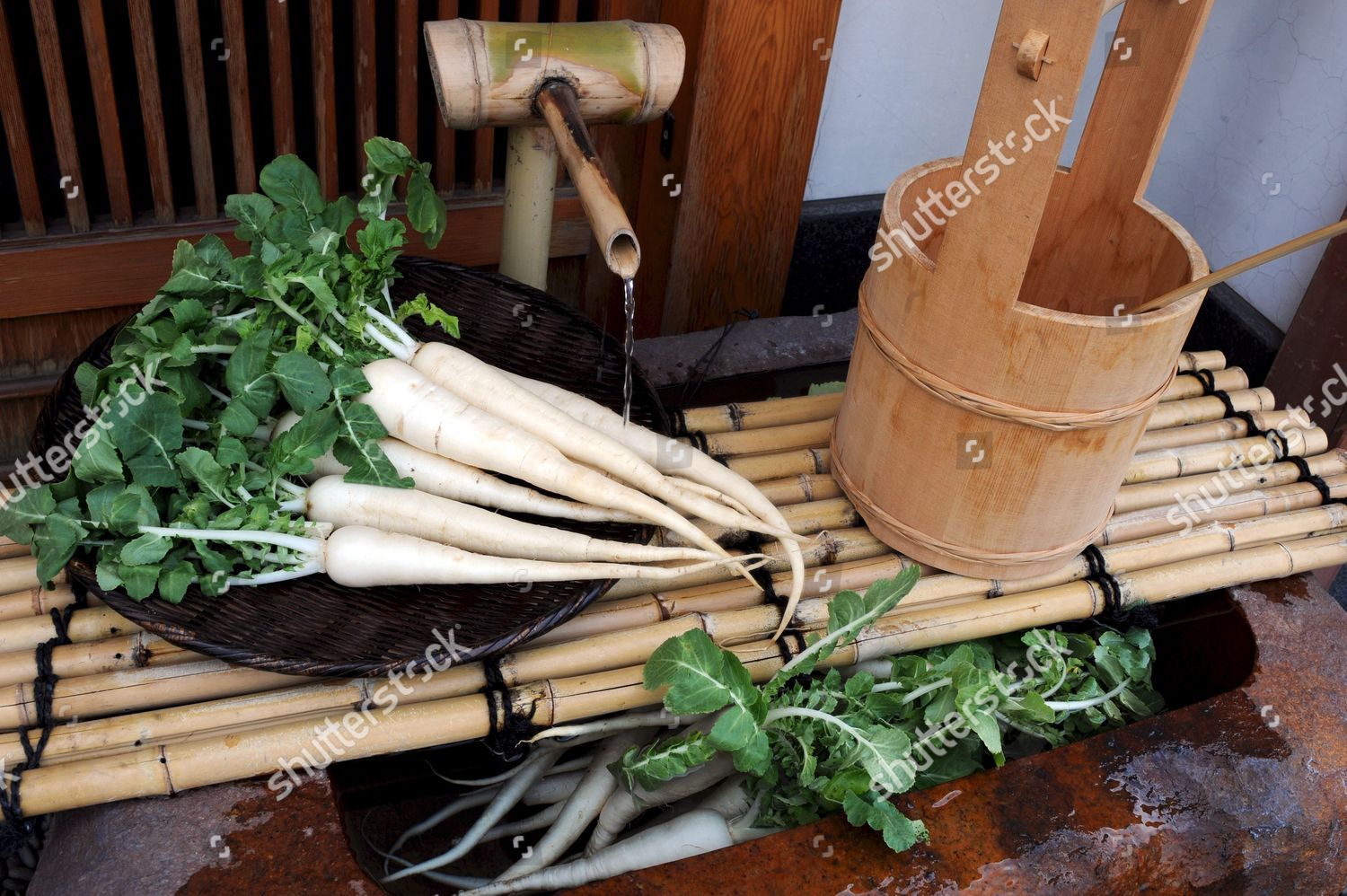 Heirloom Japanese Daikon Radishes On Display Editorial Stock Photo ...