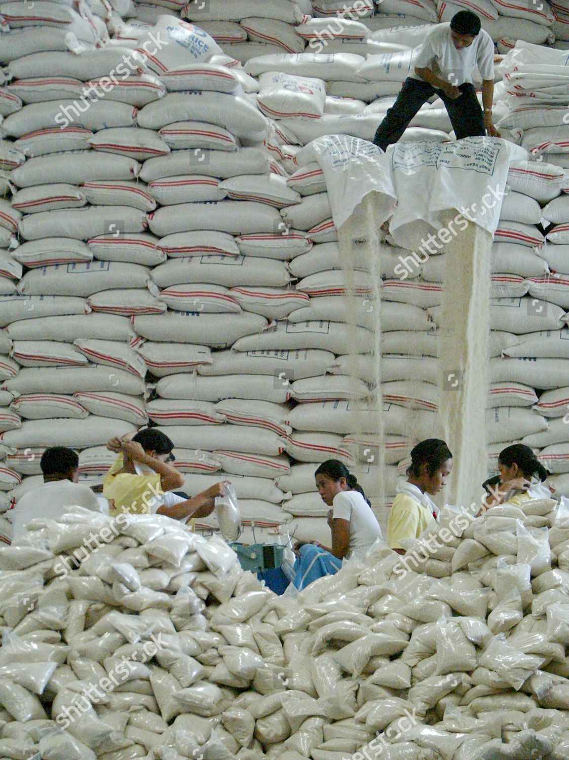 Filipino Workers Repack Rice Inside Warehouse Editorial Stock Photo ...