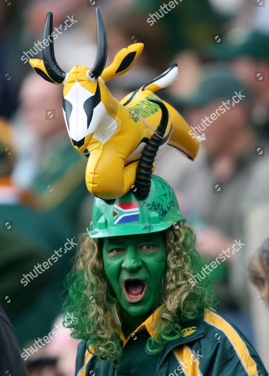 Springbok Fan Waits Kickoff Test Match Editorial Stock Photo - Stock ...