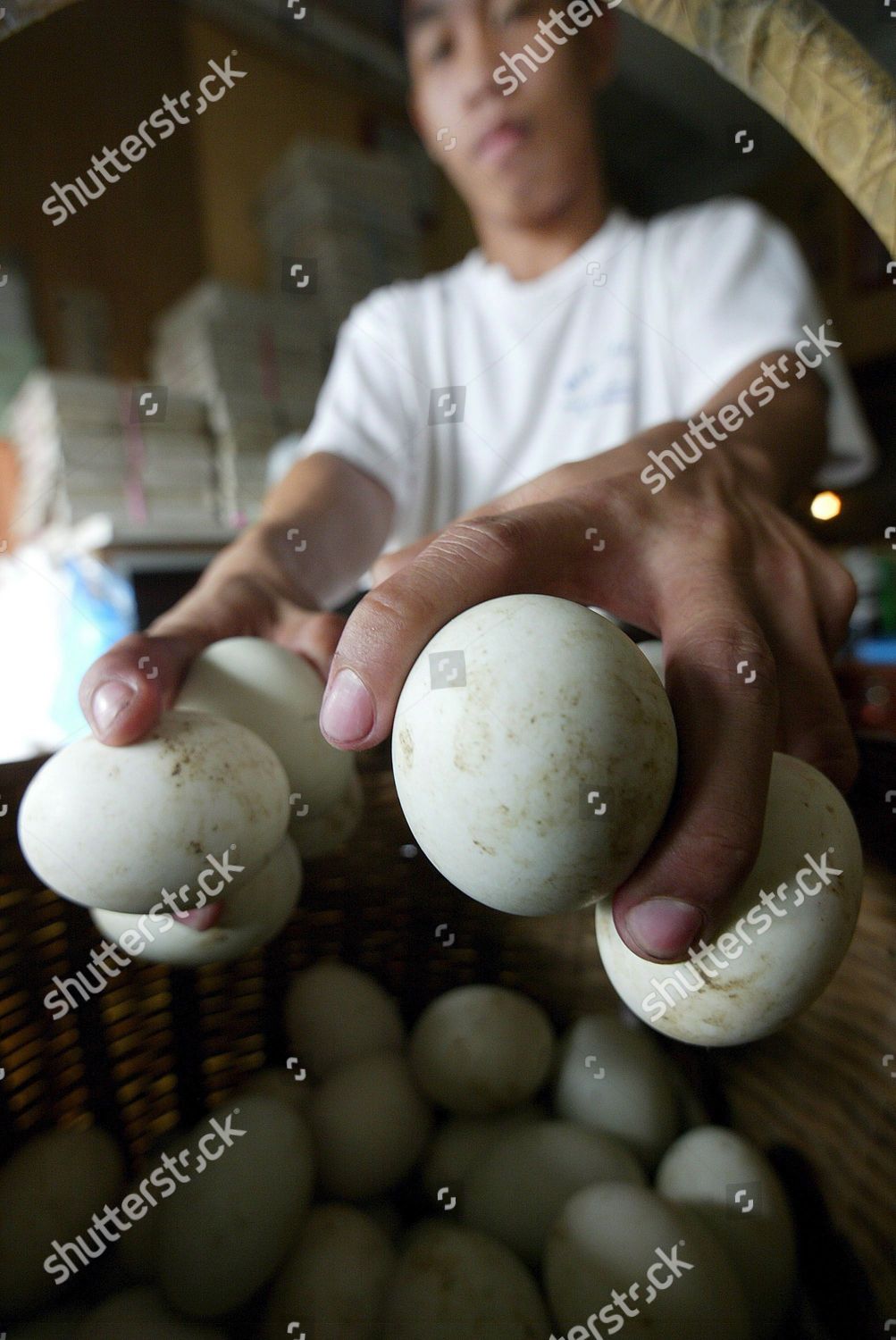 Filipino Balut Fertilised Egg Partially Developed Editorial Stock Photo ...