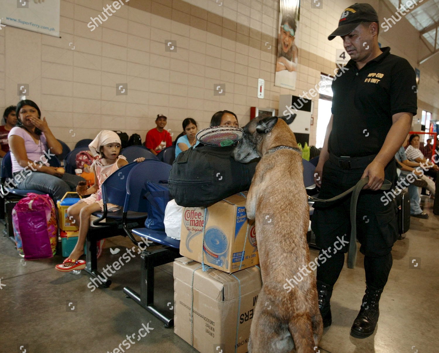 Filipino Police Officer Trained Dog Inspect Editorial Stock Photo ...