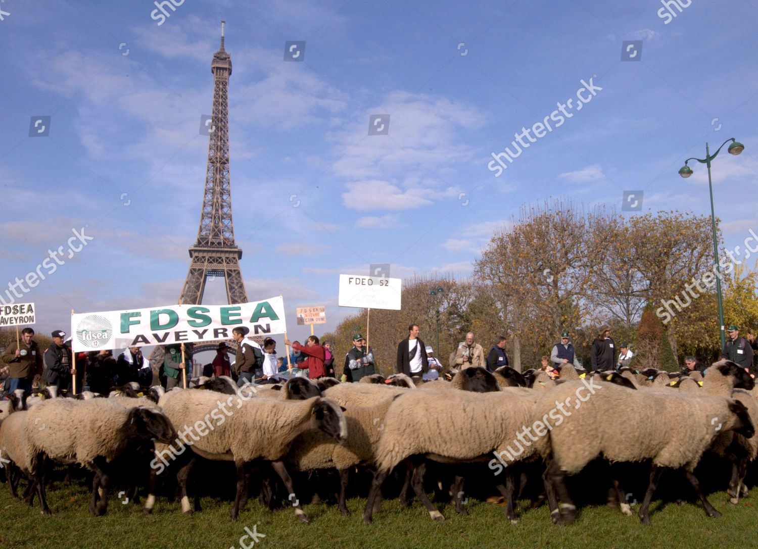 Sheep Herded Front Eiffel Tower During Editorial Stock Photo - Stock ...