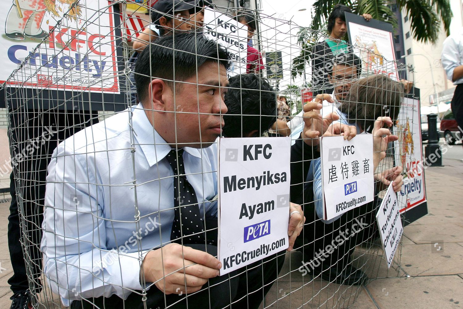 Activists People Ethical Treatment Animals Peta Editorial Stock Photo ...