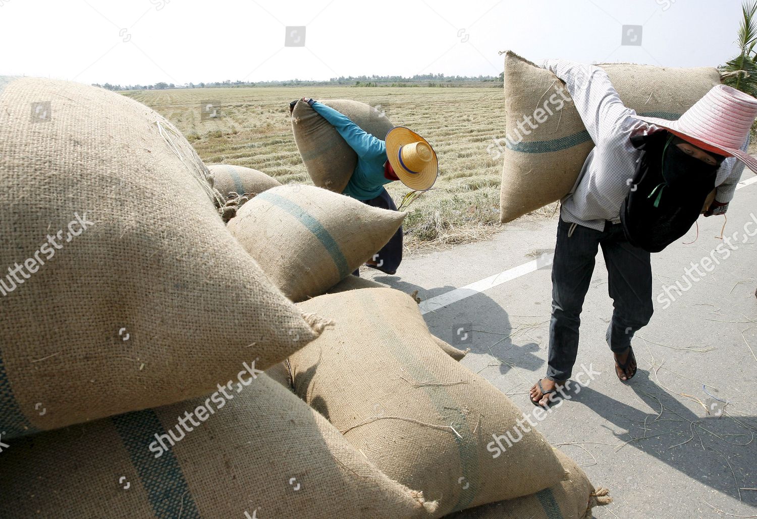 Thai Farmers Lift Bags Rice After Editorial Stock Photo - Stock Image ...