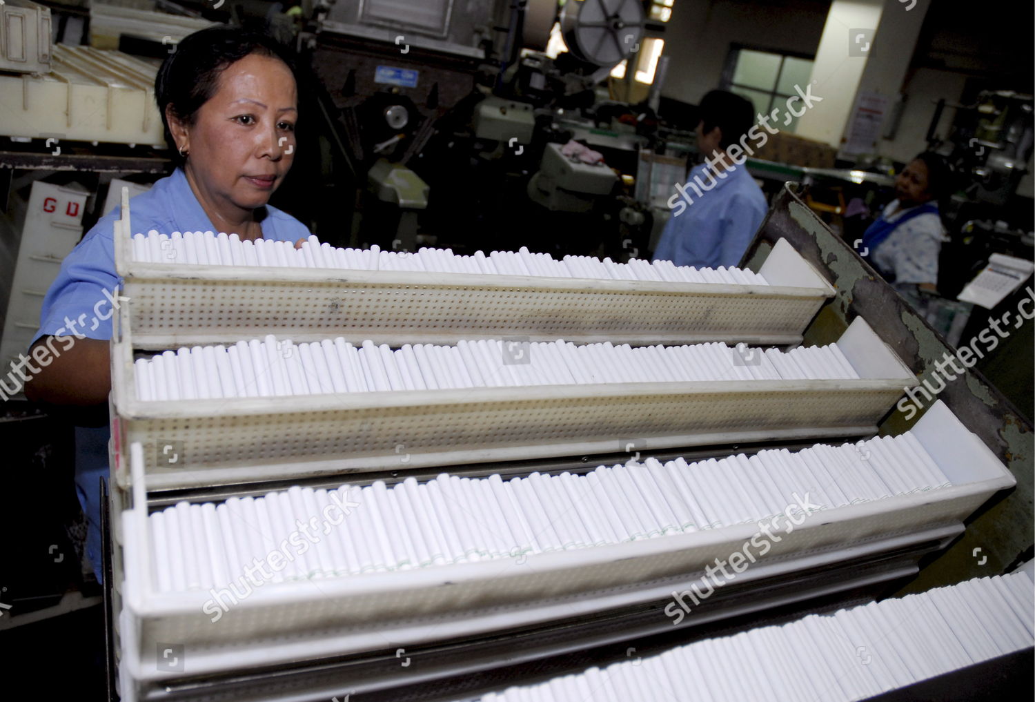 Thai Tobacco Factory Worker Thailands Tobacco Editorial Stock Photo ...