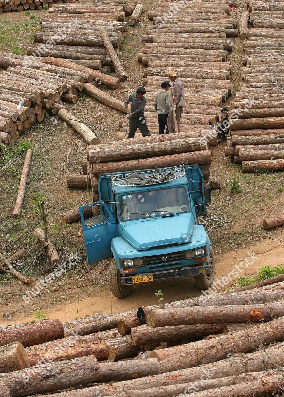 Loggers Work Loading Timber Logs Northeastern Editorial Stock Photo ...