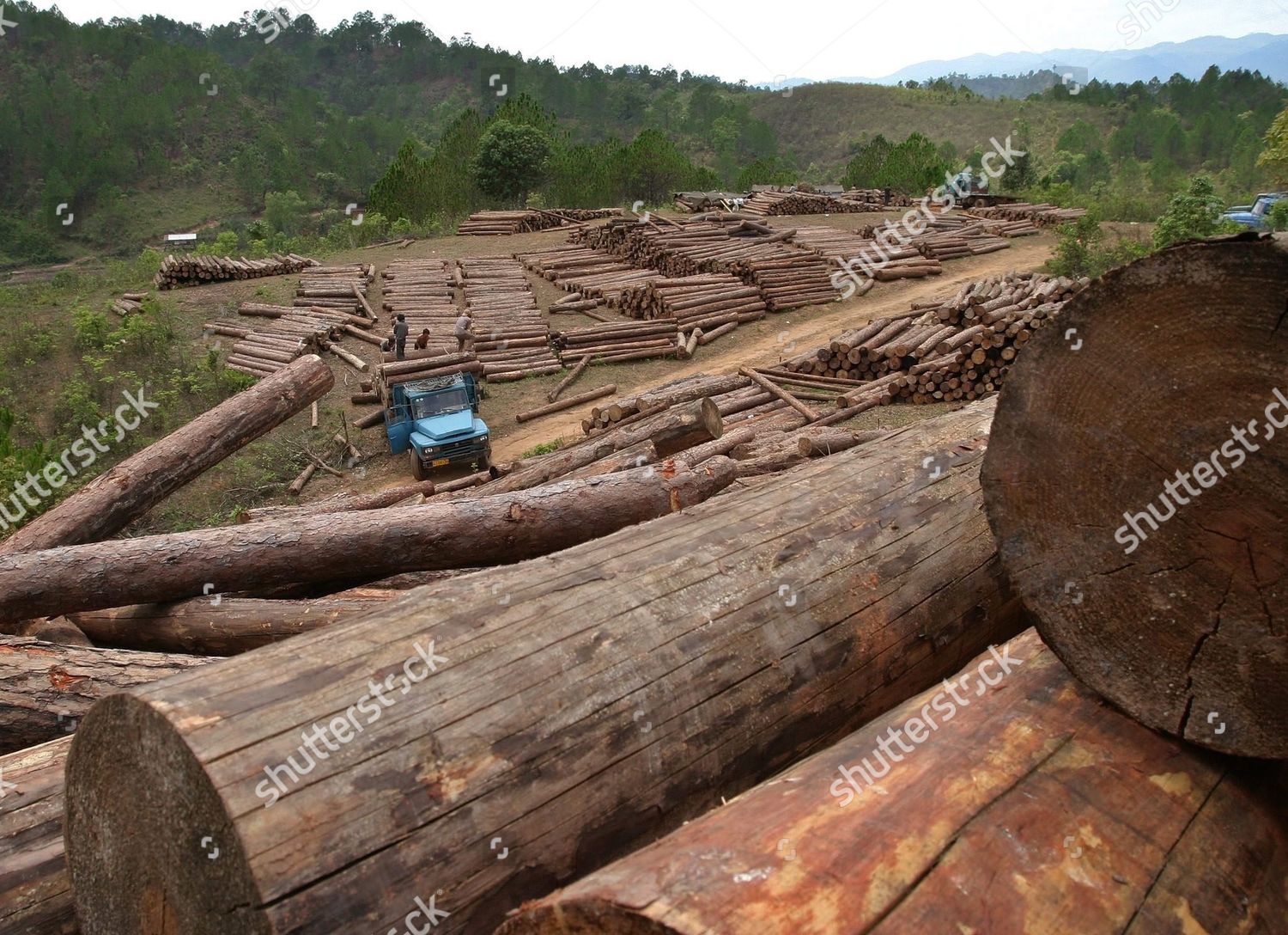 Loggers Work Loading Timber Logs Northeastern Editorial Stock Photo ...