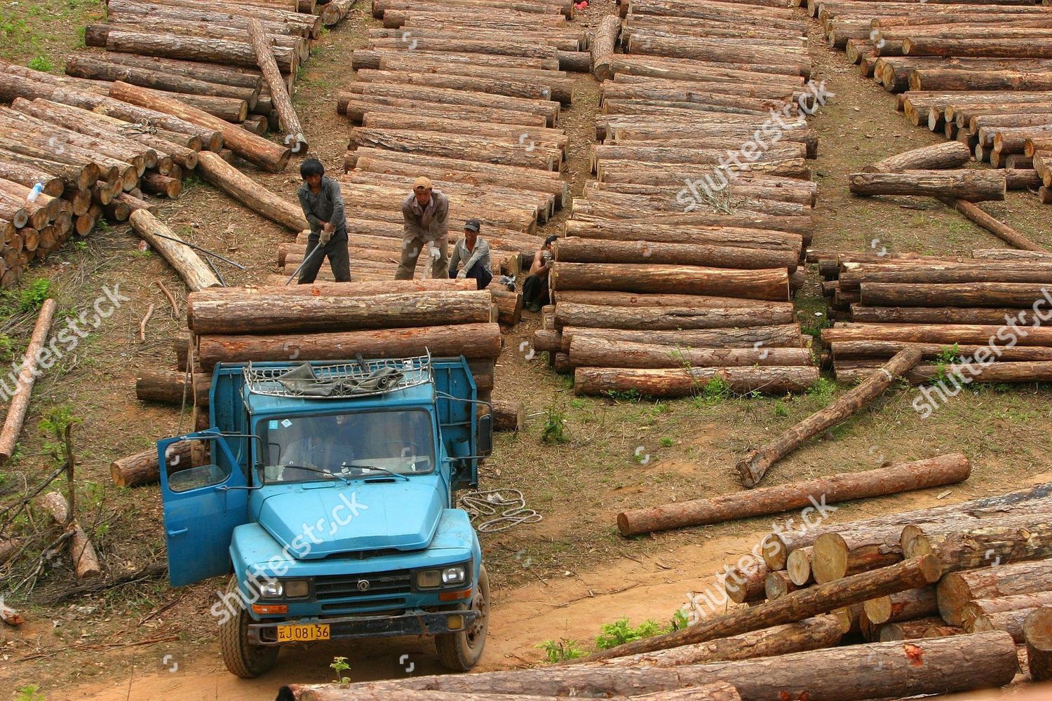 Loggers Work Loading Timber Logs Northeastern Editorial Stock Photo ...