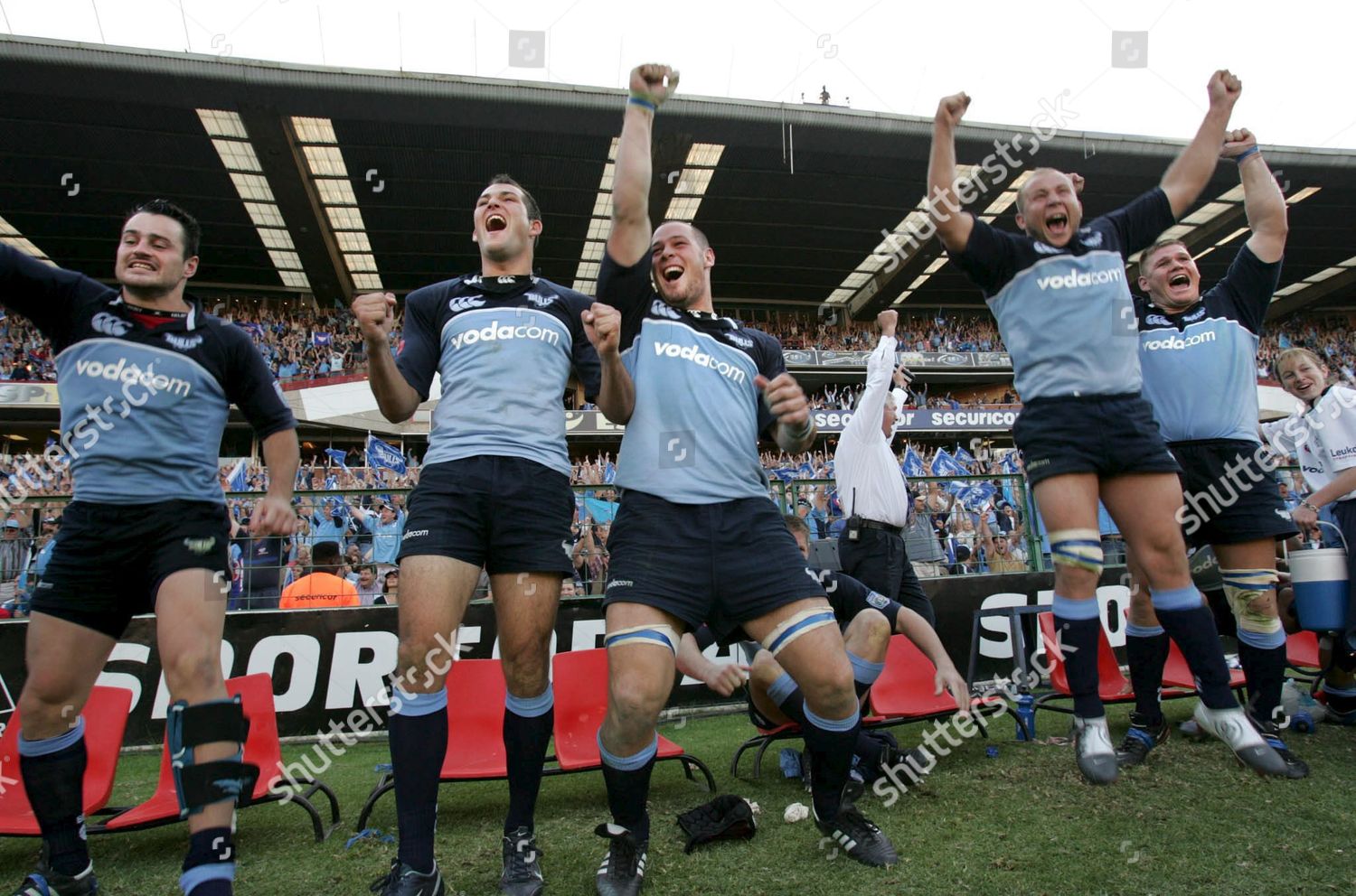 Bulls Rugby Players Celebrate Winning Super Editorial Stock Photo ...