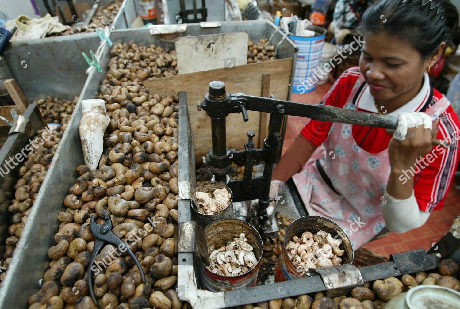 Woman Works Shelling Cashews Methee Cashew Editorial Stock Photo - Stock Image | Shutterstock