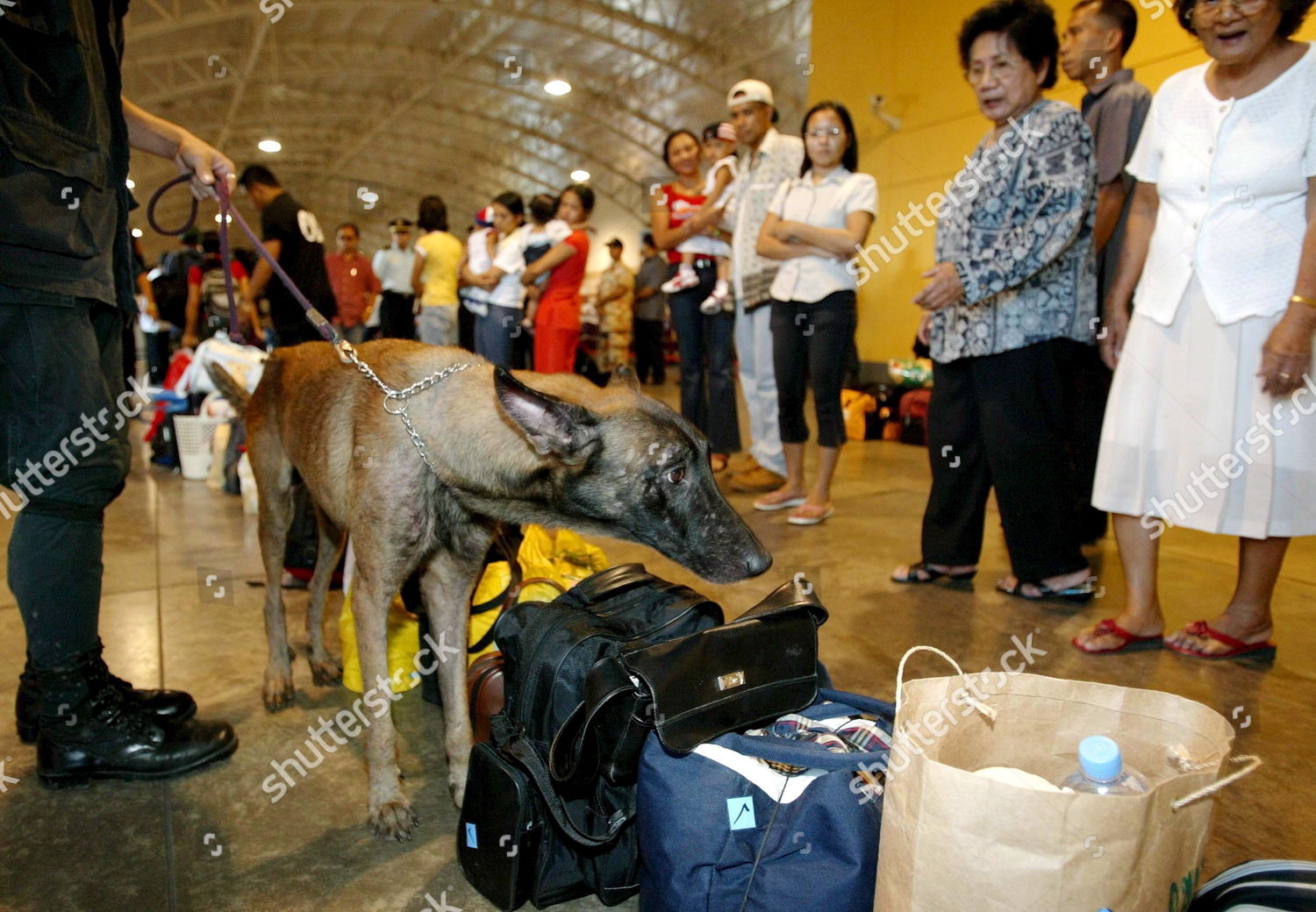 Passenger Luggage Subjected K9 Security Inspection Editorial Stock ...