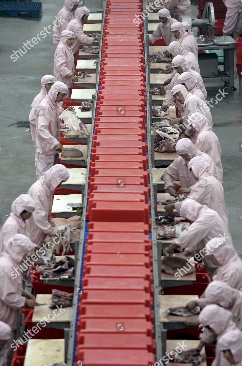 Workers Process Pork Slaughterhouse Beijing China Editorial Stock Photo ...