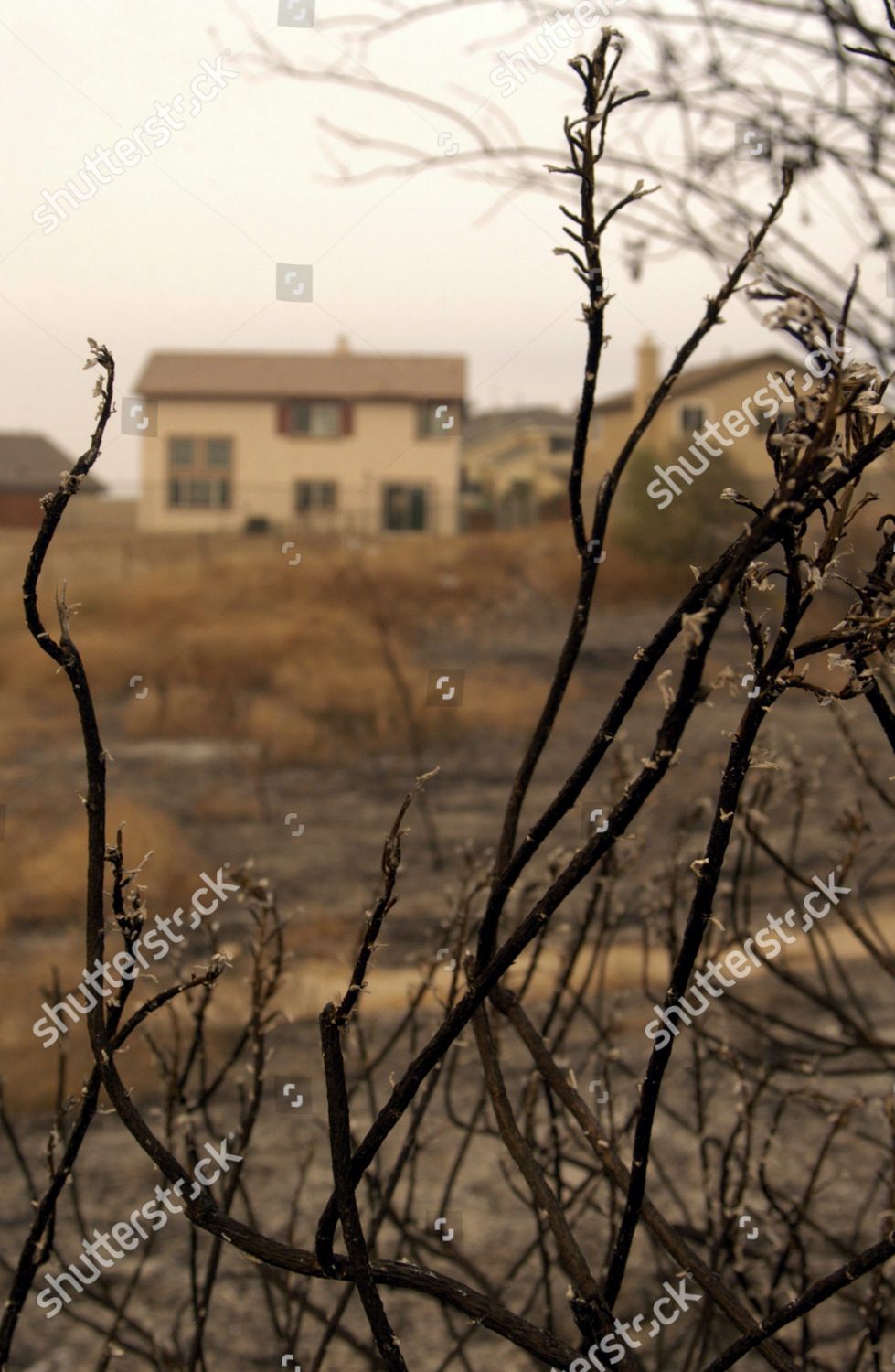 Homes East Highland Ranch California Stand Editorial Stock Photo ...