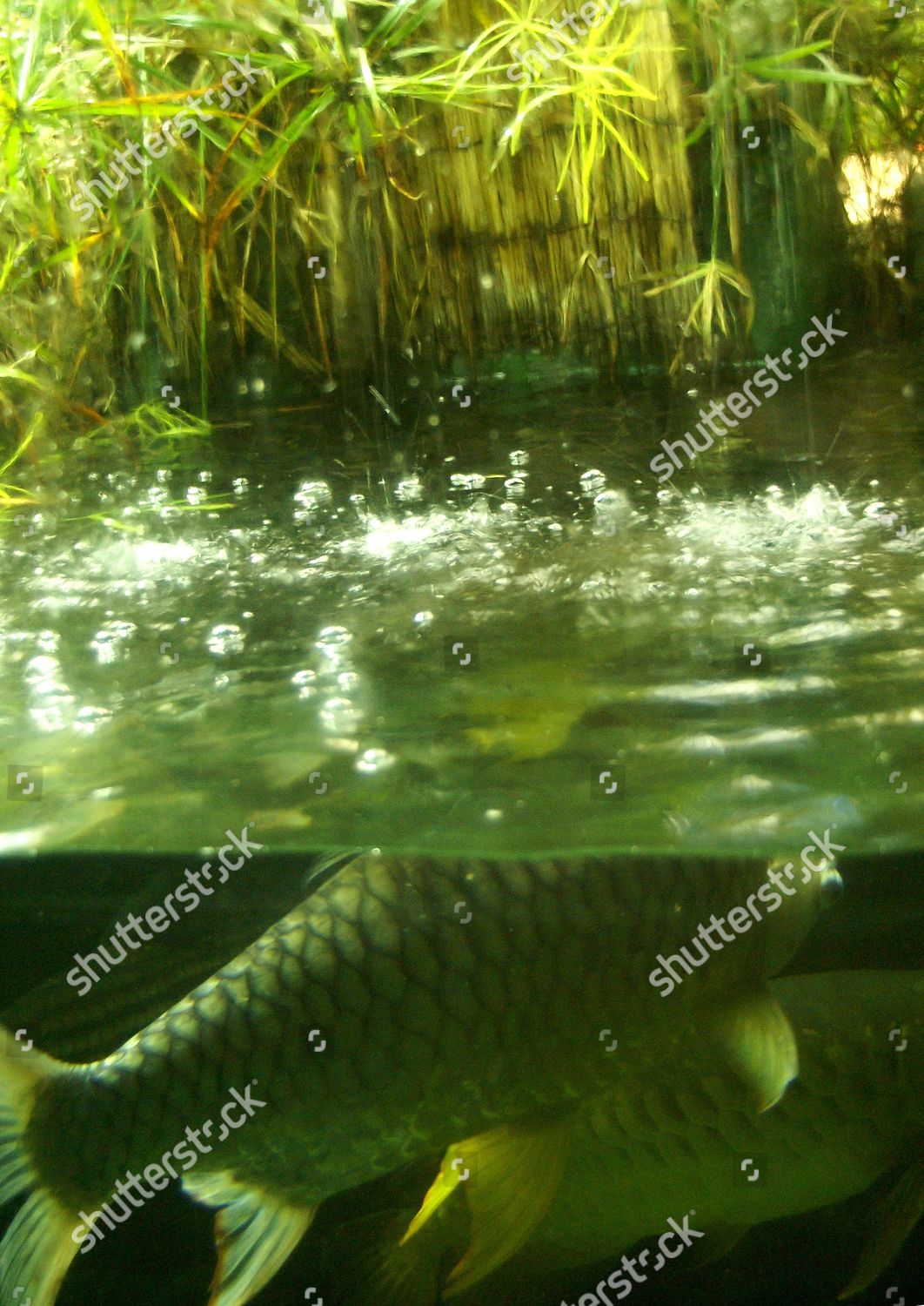 Fish River Crosssection Editorial Stock Photo - Stock Image | Shutterstock