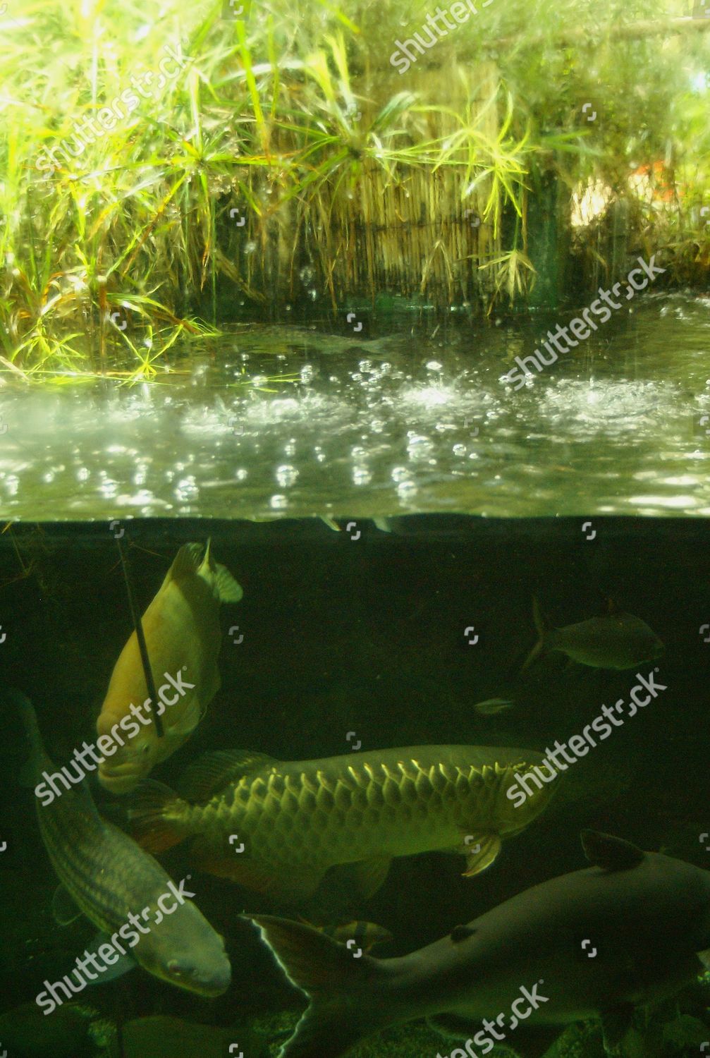 Fish River Crosssection Editorial Stock Photo - Stock Image | Shutterstock