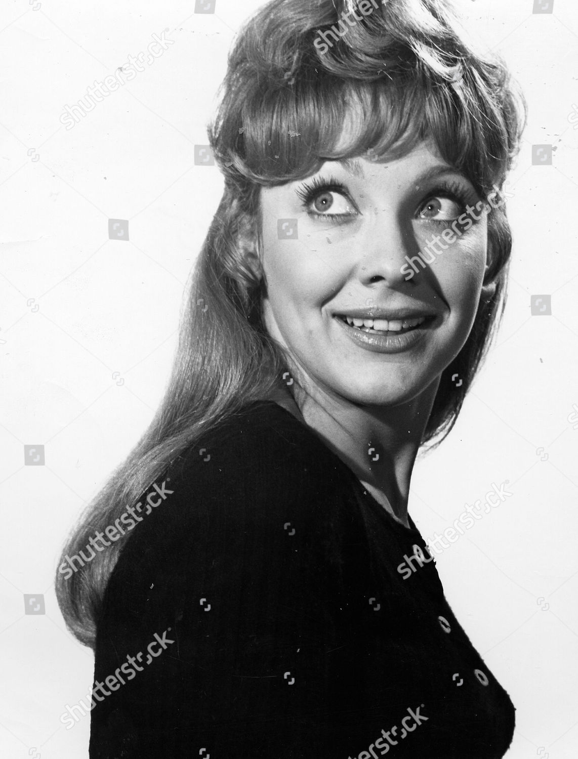 Carry On Jungle Jacki Piper Editorial Stock Photo - Stock Image ...