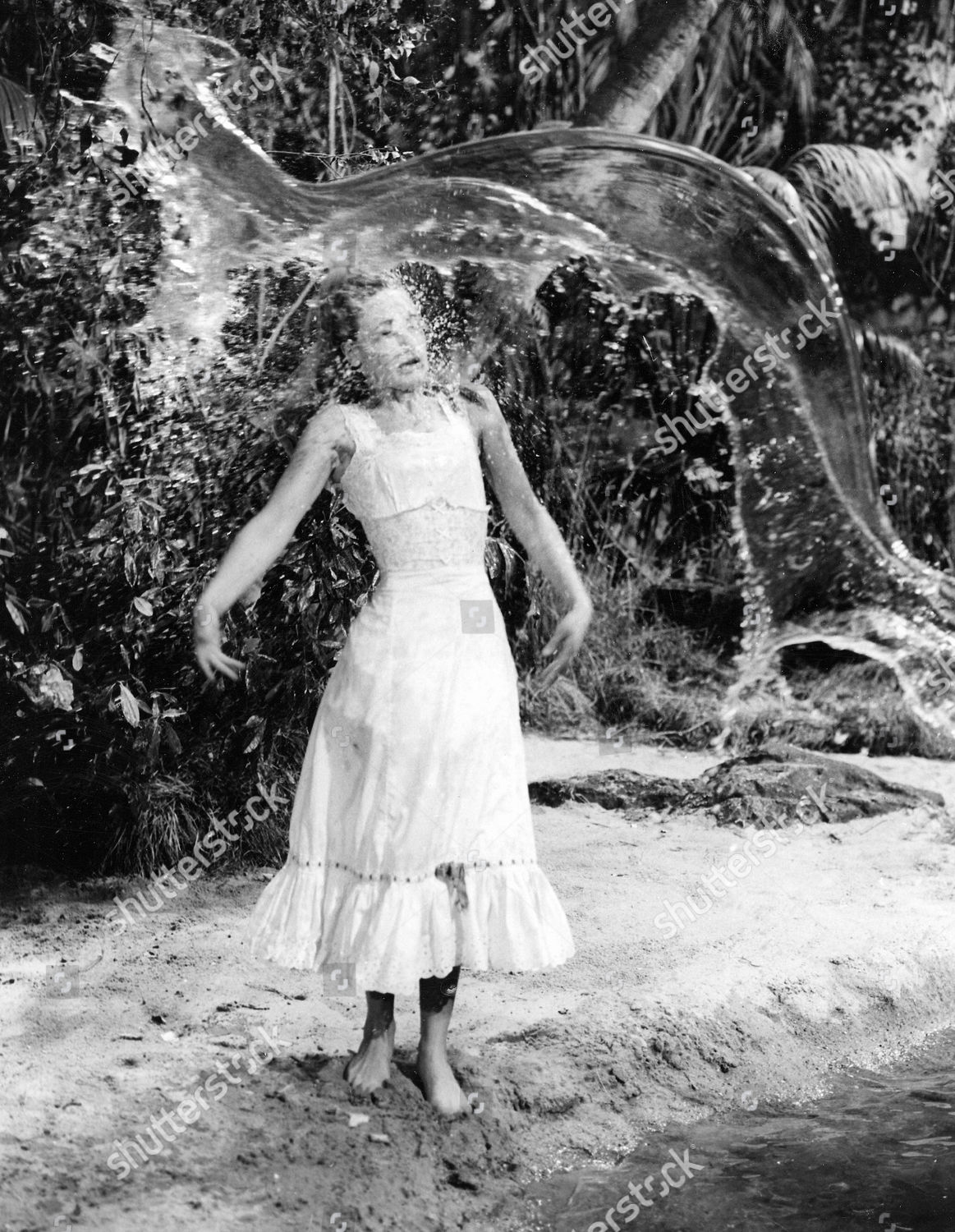 Carry On Jungle Jacki Piper Editorial Stock Photo - Stock Image ...