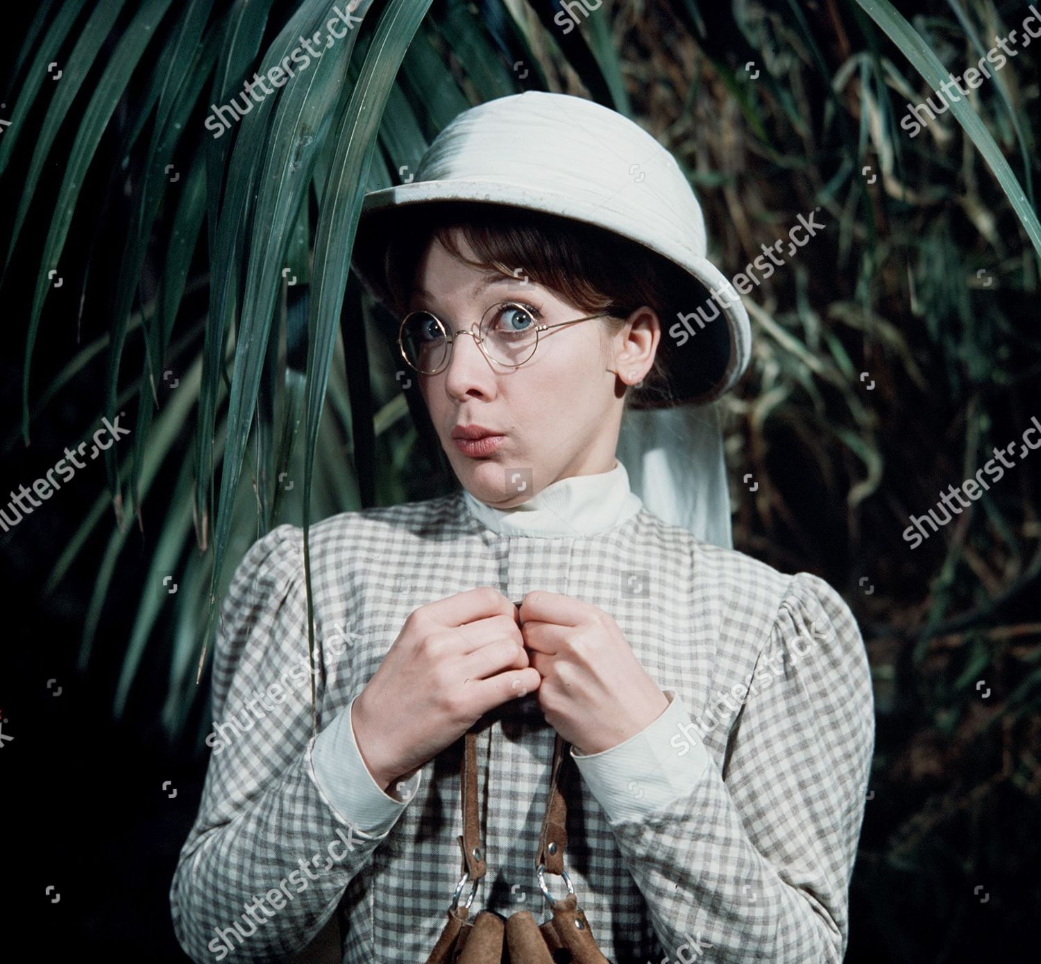 Carry On Jungle Jacki Piper Editorial Stock Photo - Stock Image ...
